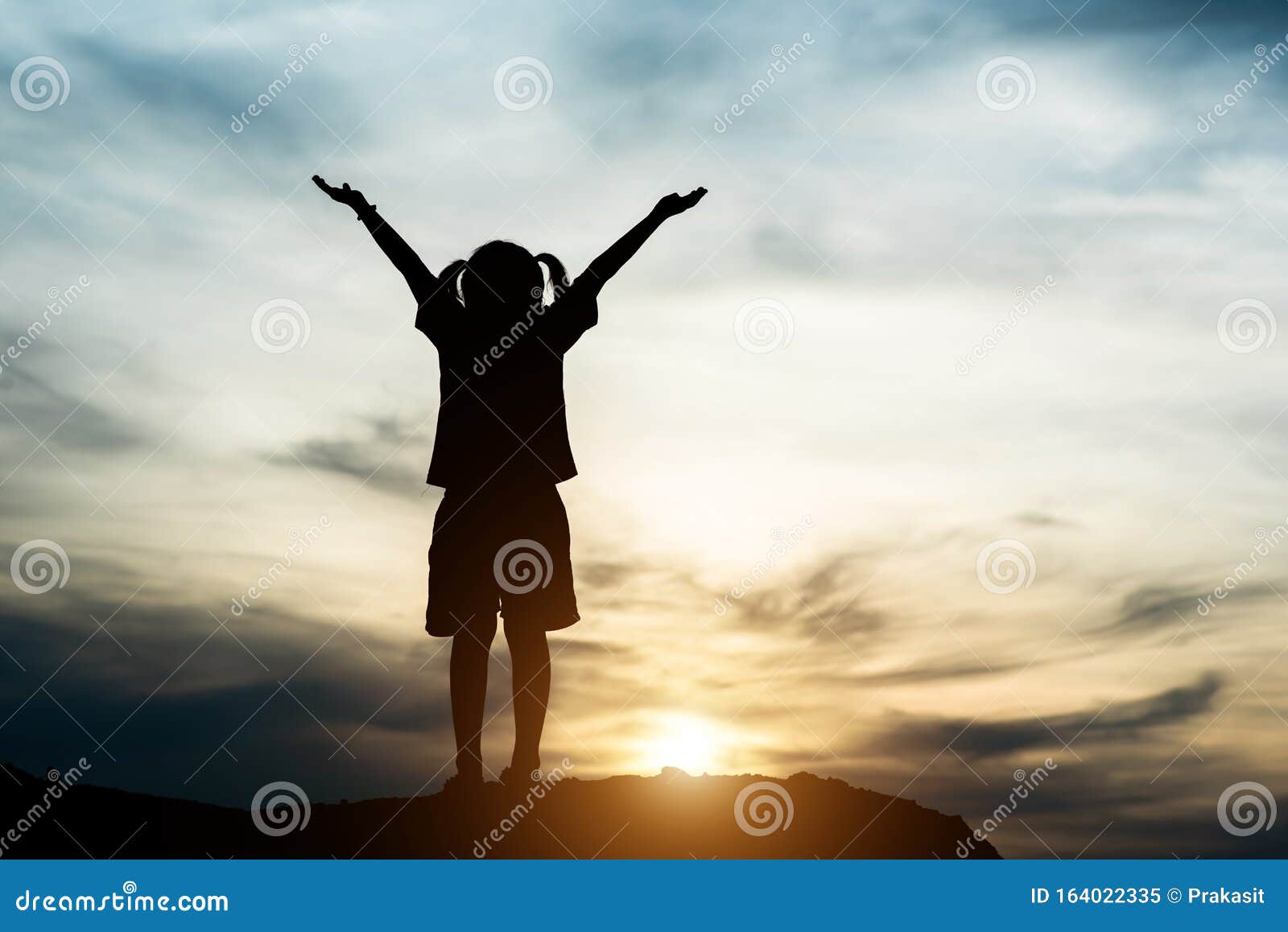 Silhouette De Deux Filles Qui Samusent Image Stock Image Du Ciel
