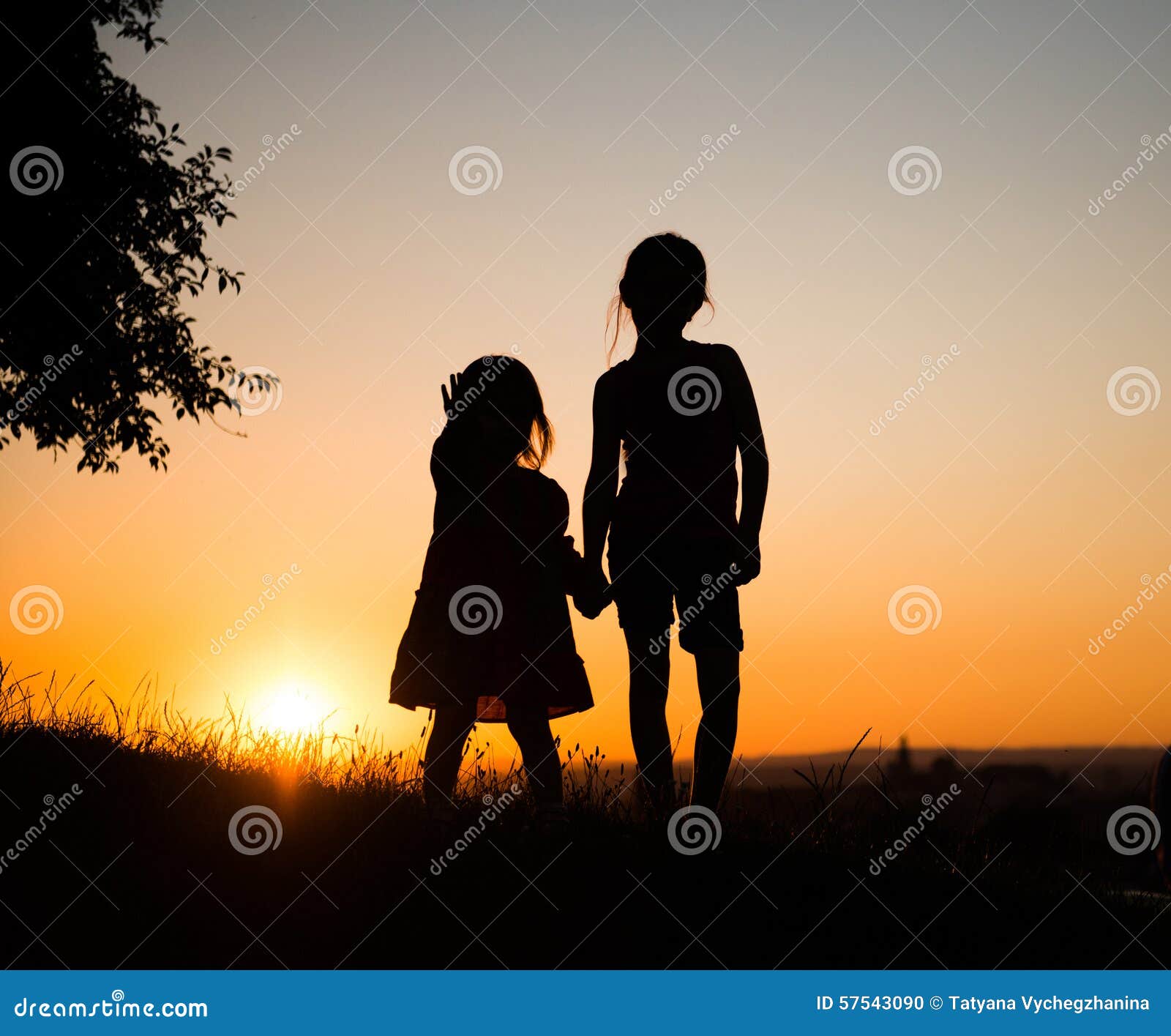 Silhouette De Deux Jeunes Soeurs Photo Stock Image Du Adolescent
