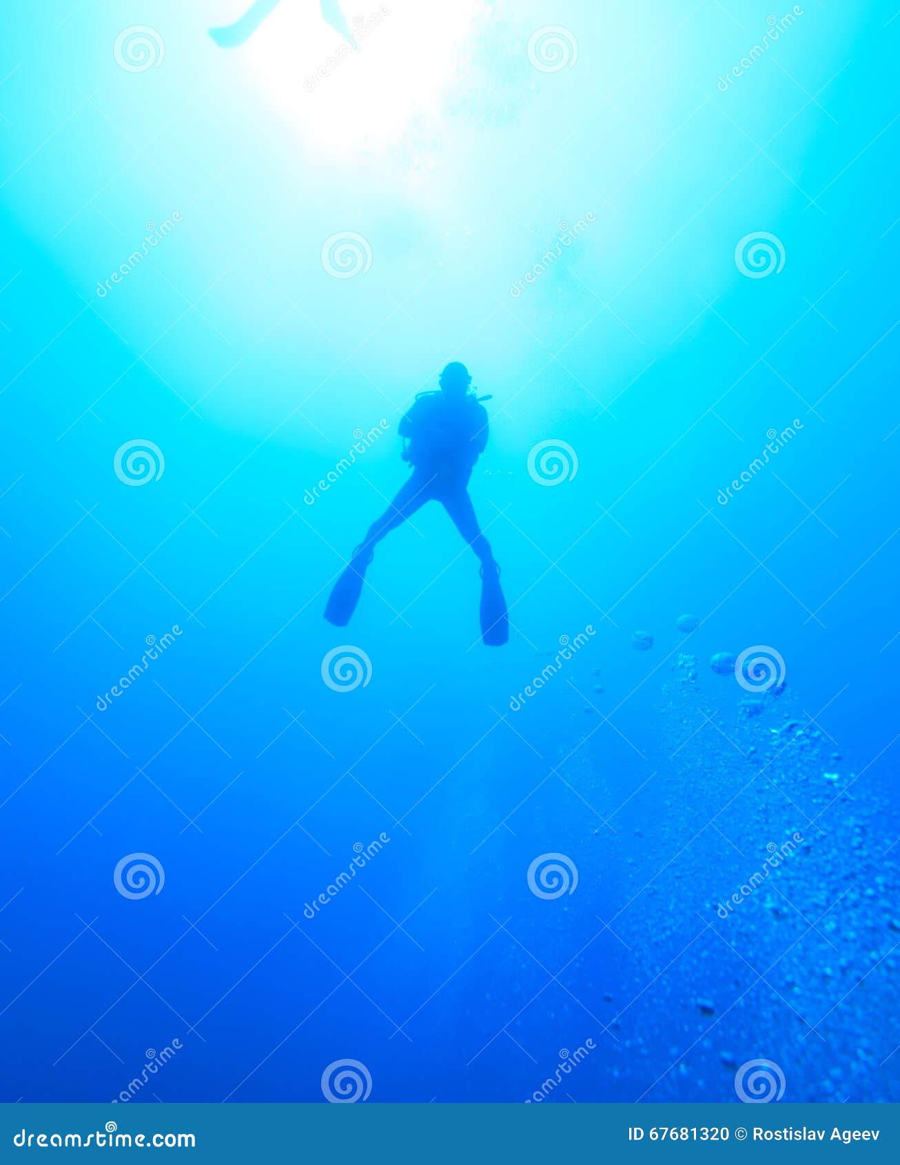 Silhouette De Ras De Mohamed De Plongeur Prise Photo stock - Image du ...