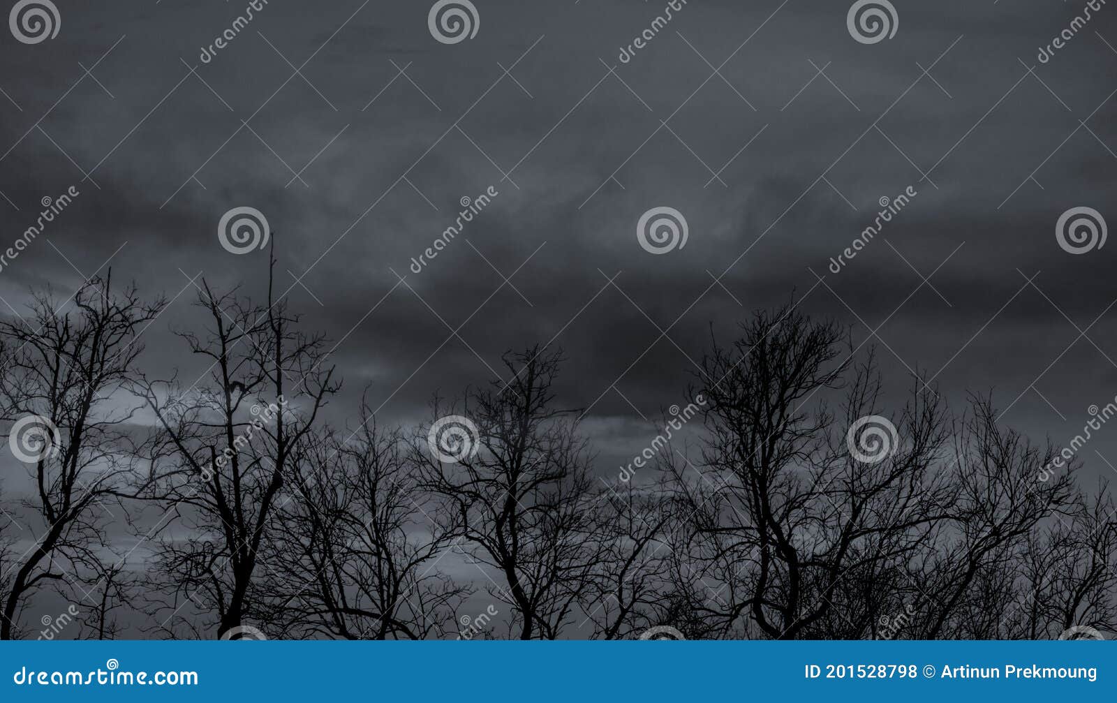 Silhouette Dead Tree on Dark Dramatic Sky and Gray Clouds. Dark Sky and ...