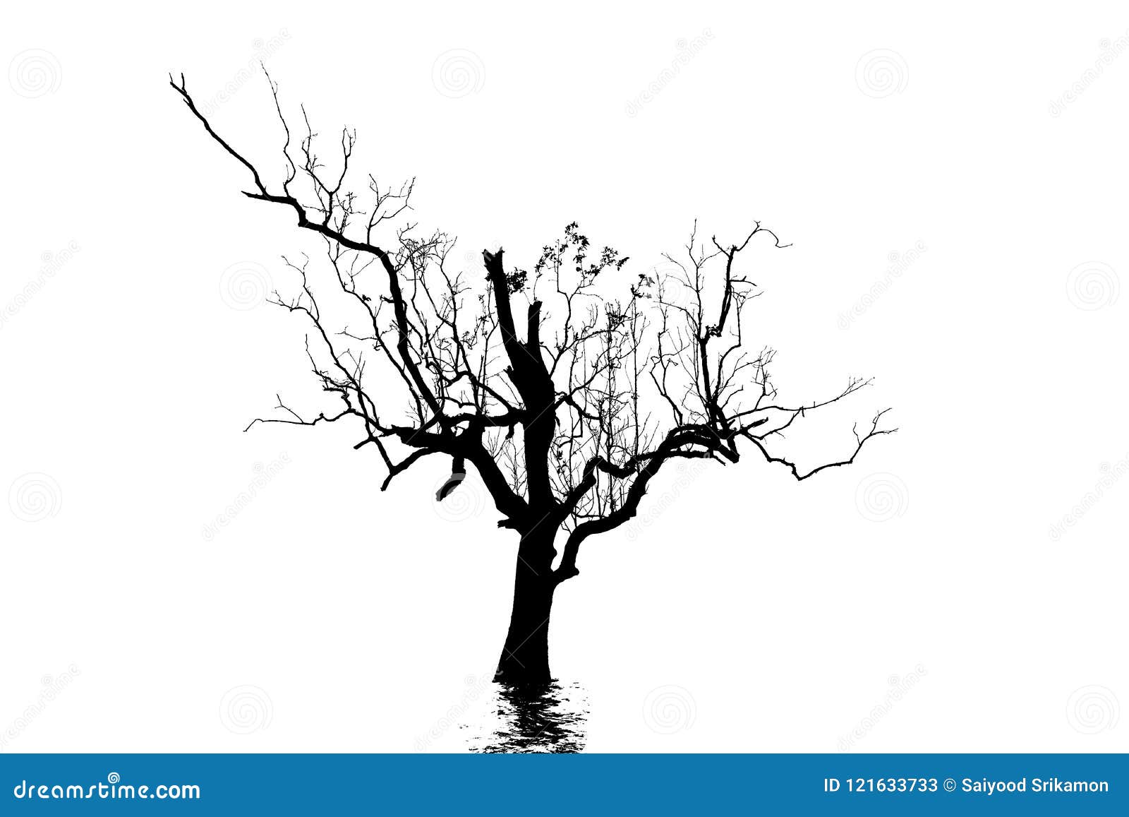 Dead Tree Silhouette
