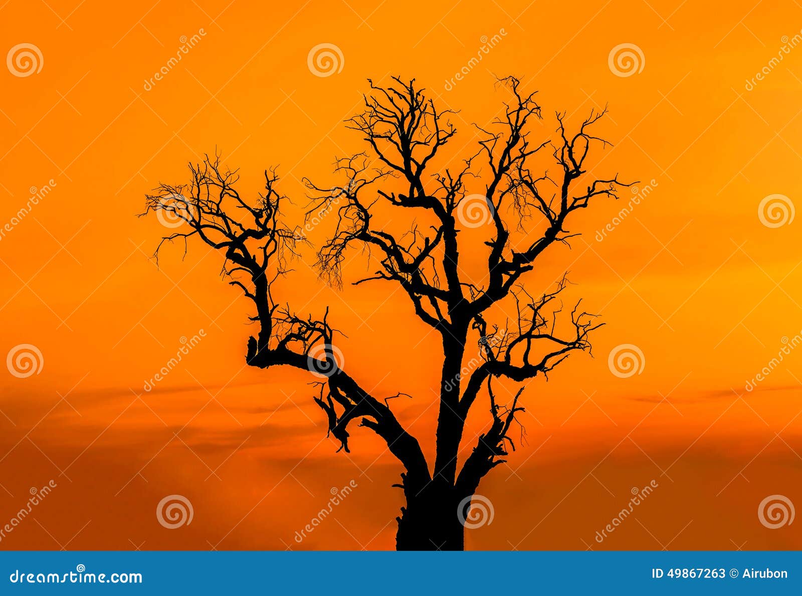 Silhouette Dead Tree on the Sunset Stock Image - Image of time ...