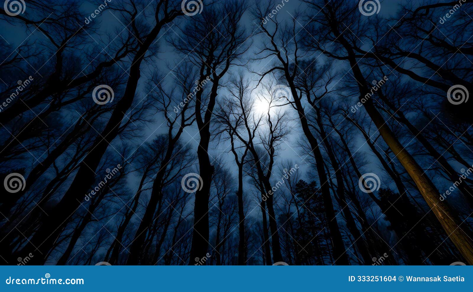 Silhouette of Dead Trees in Forest at Night with Full Moon Stock Photo ...