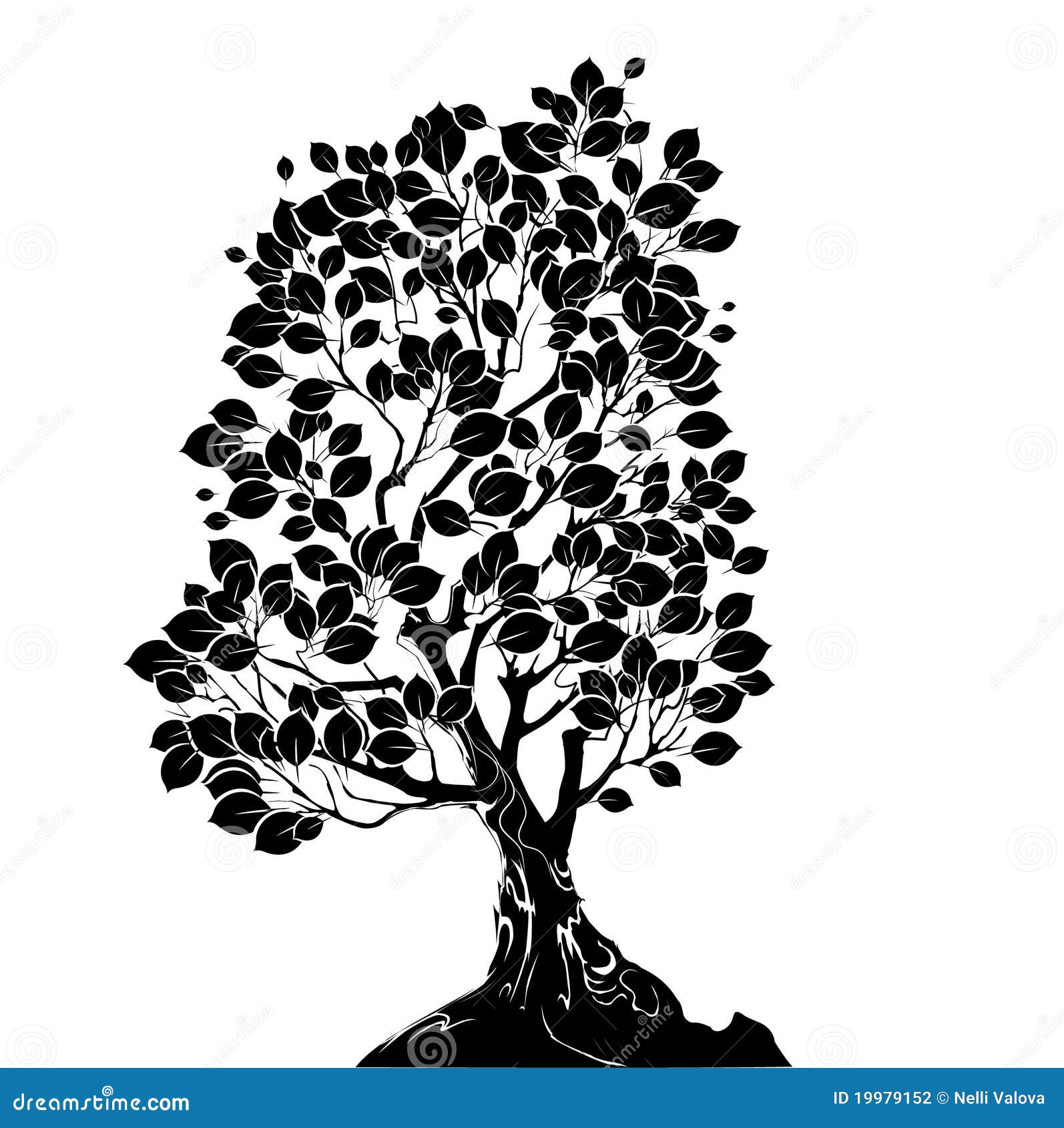 Silhouette of a Deciduous Tree Stock Vector - Illustration of graphics ...