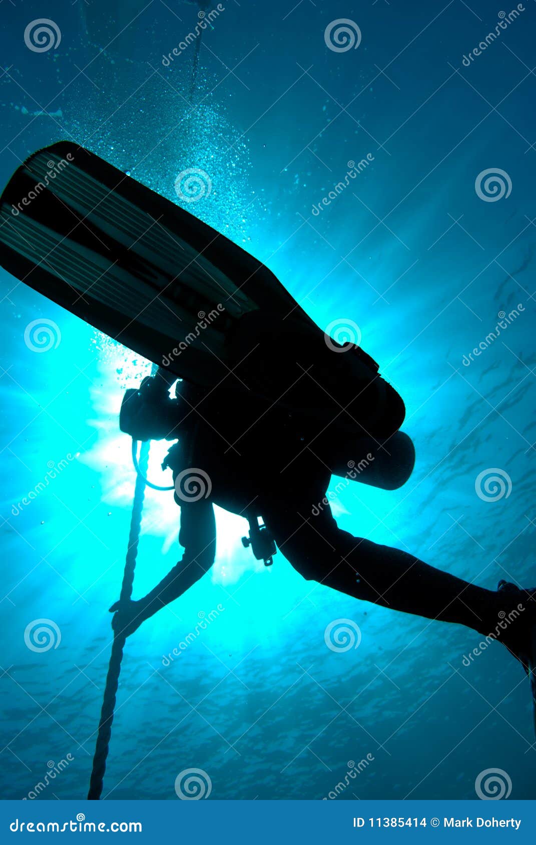 Silhouette of a diver stock photo. Image of vertical - 11385414
