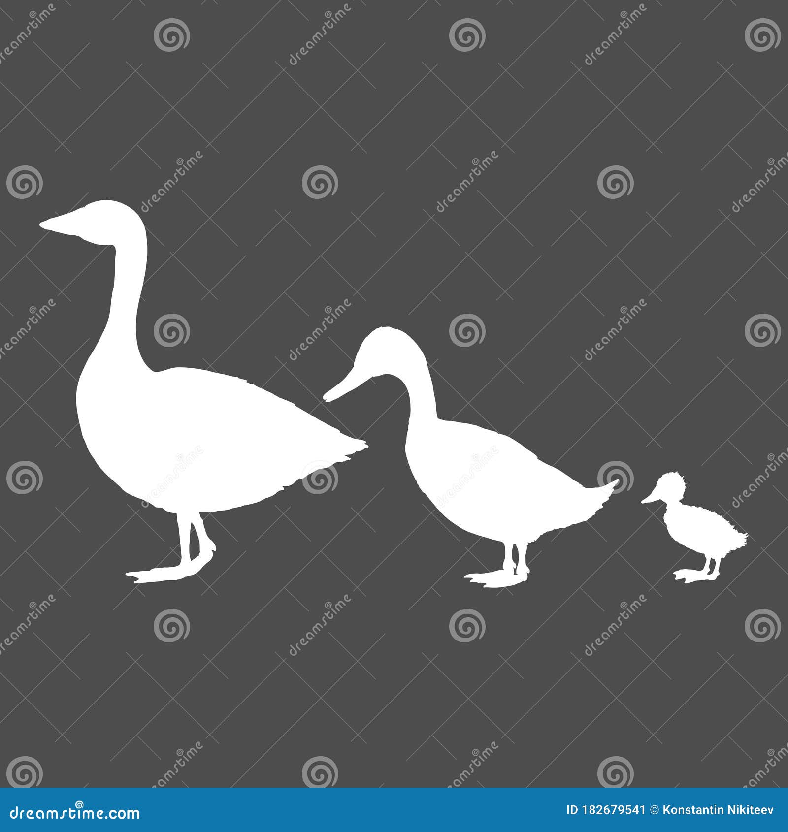 Silhouette Duckling Vector Illustration | CartoonDealer.com #34581104