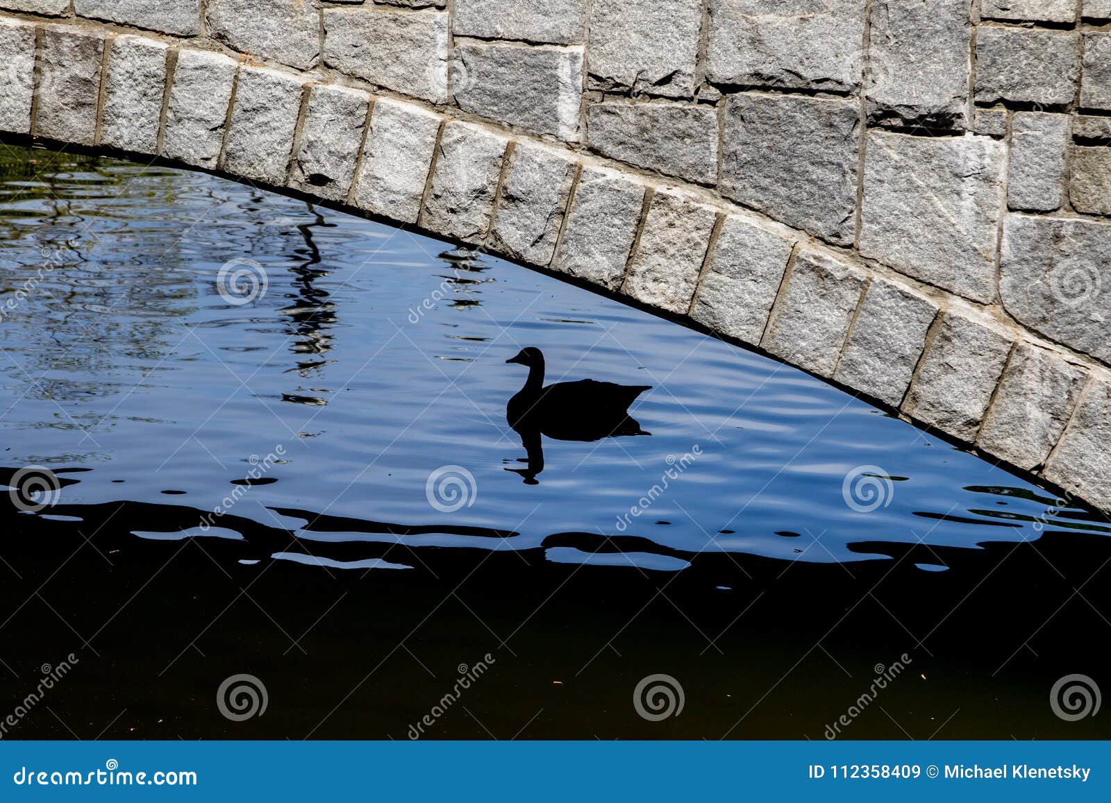 Duck Under Bridge stock image. Image of outdoor, bird - 112358409
