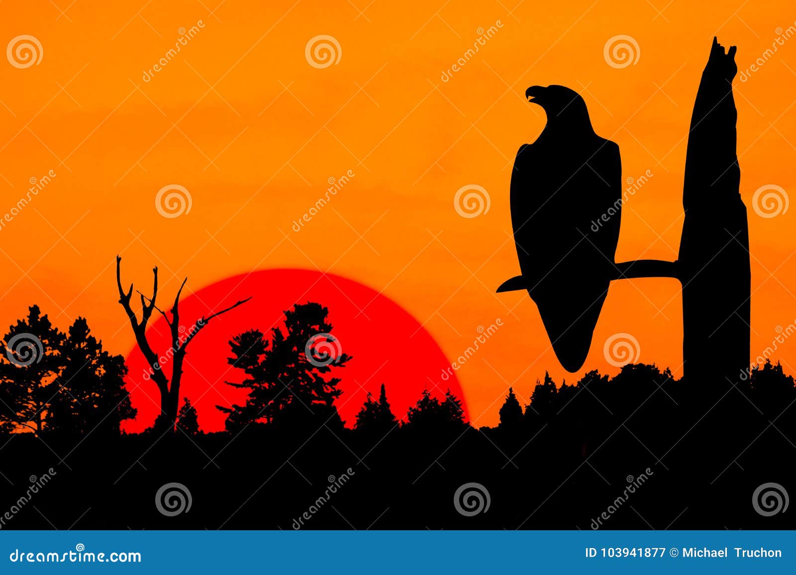 Silhouette of Peaceful Eagle at Sunset Stock Image - Image of sunset ...
