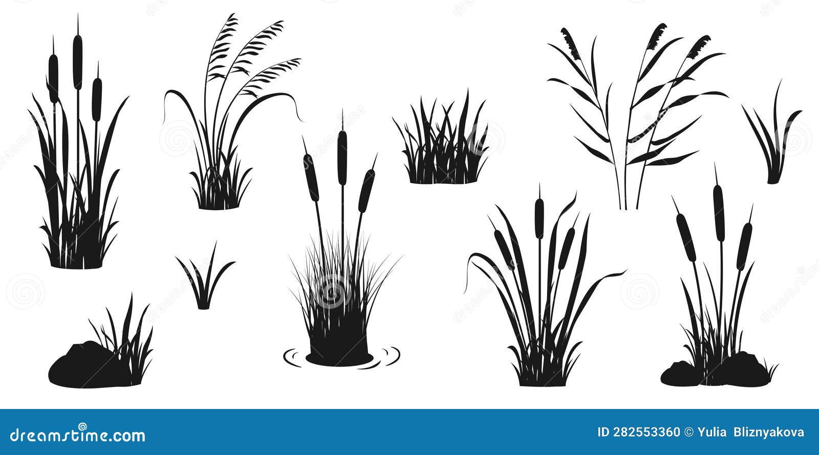 Silhouette Elements Of Reeds And Aquatic Vegetation Tall Marsh Grass For Design Stock Vector