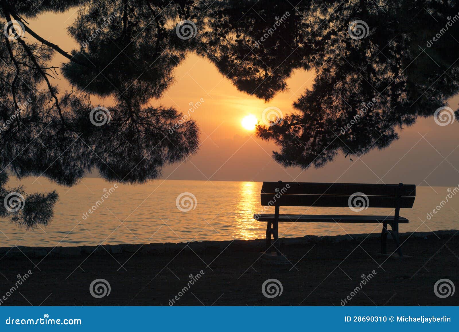 Silhouette of Empty Bench Under Pine Trees at Sunset Stock Photo ...