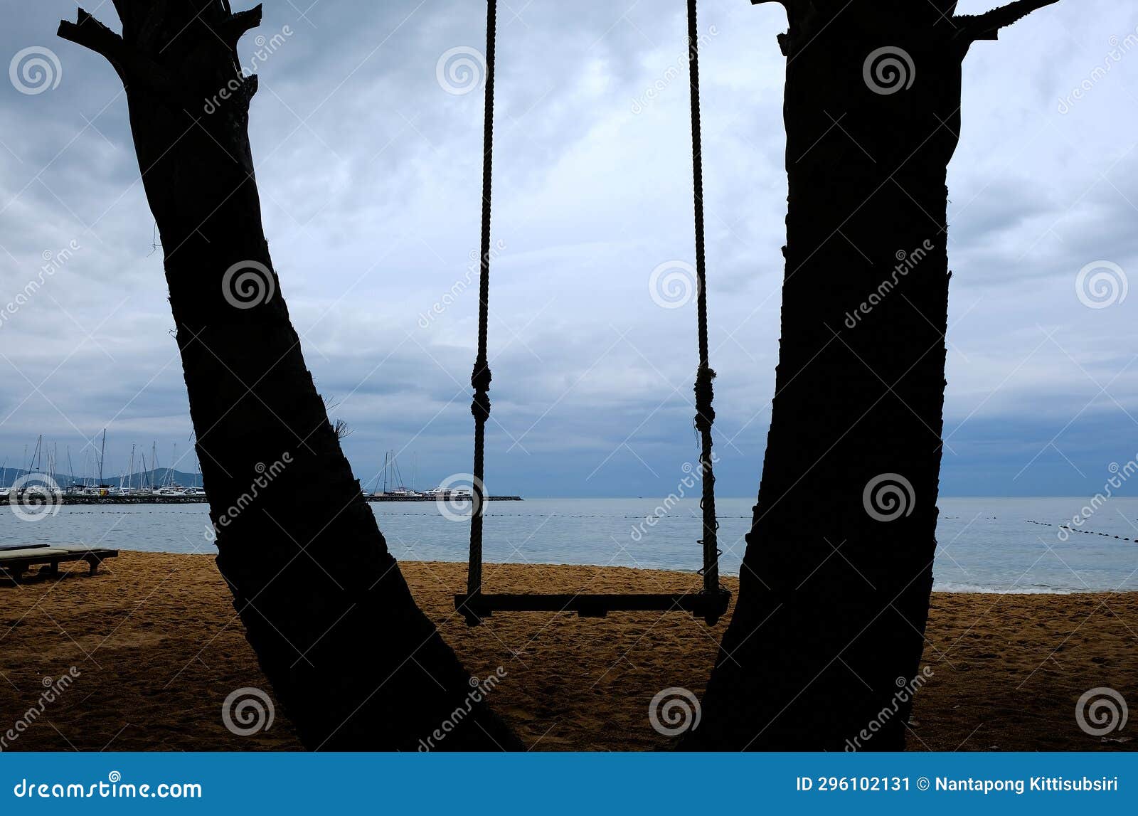 Silhouette Empty Tree Swing on Cloudy Sky Tropical Beach Background ...