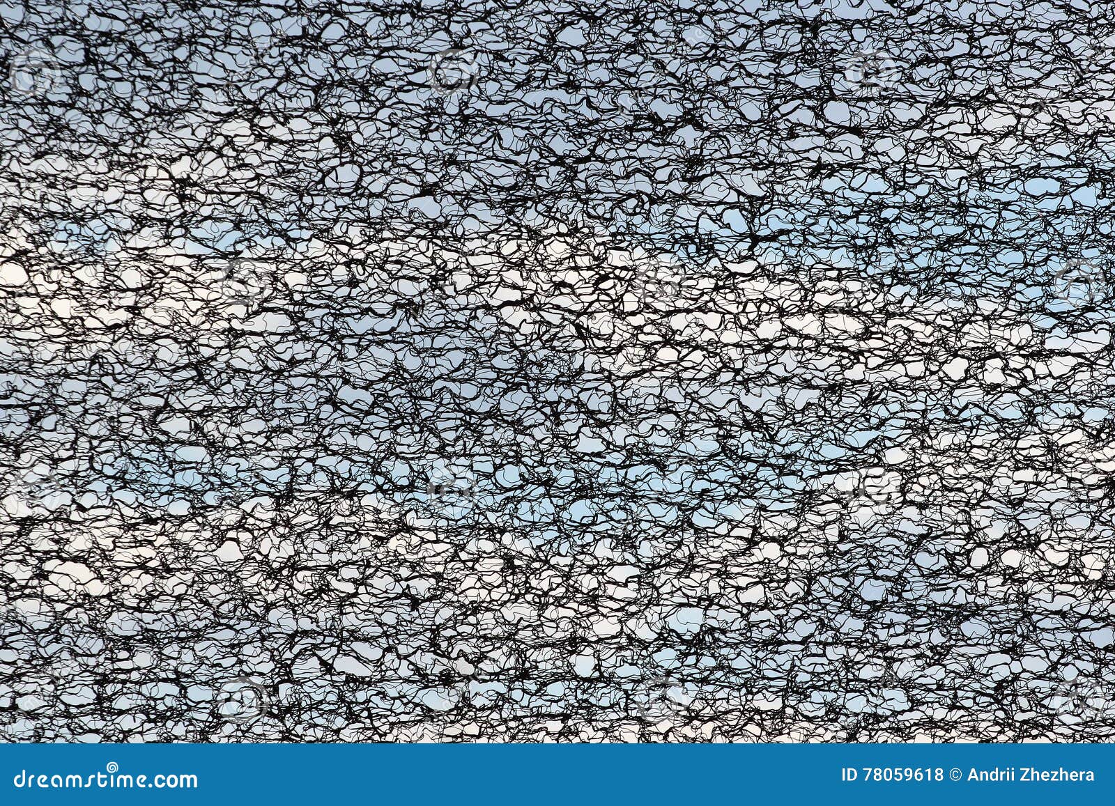 Silhouette of Entangled Black Mesh Against Blue Sky Background Stock ...