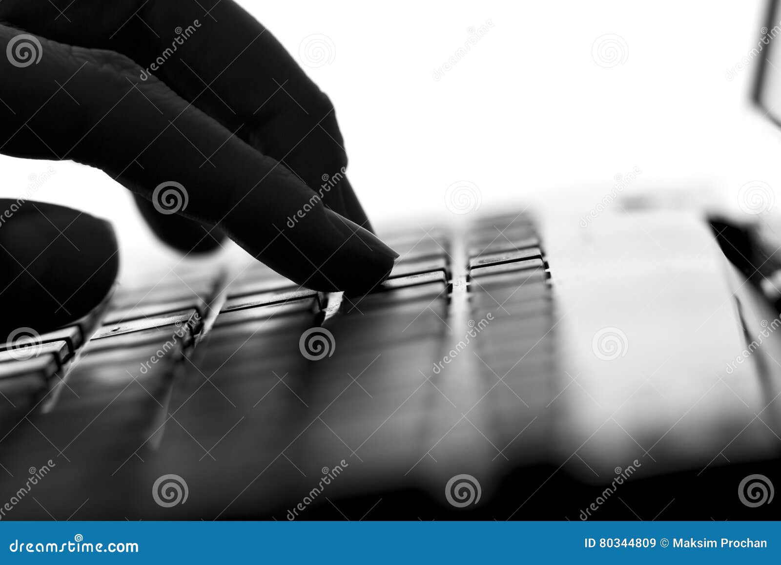 Silhouette of a Female Hands Typing on the Keyboard Stock Image - Image ...
