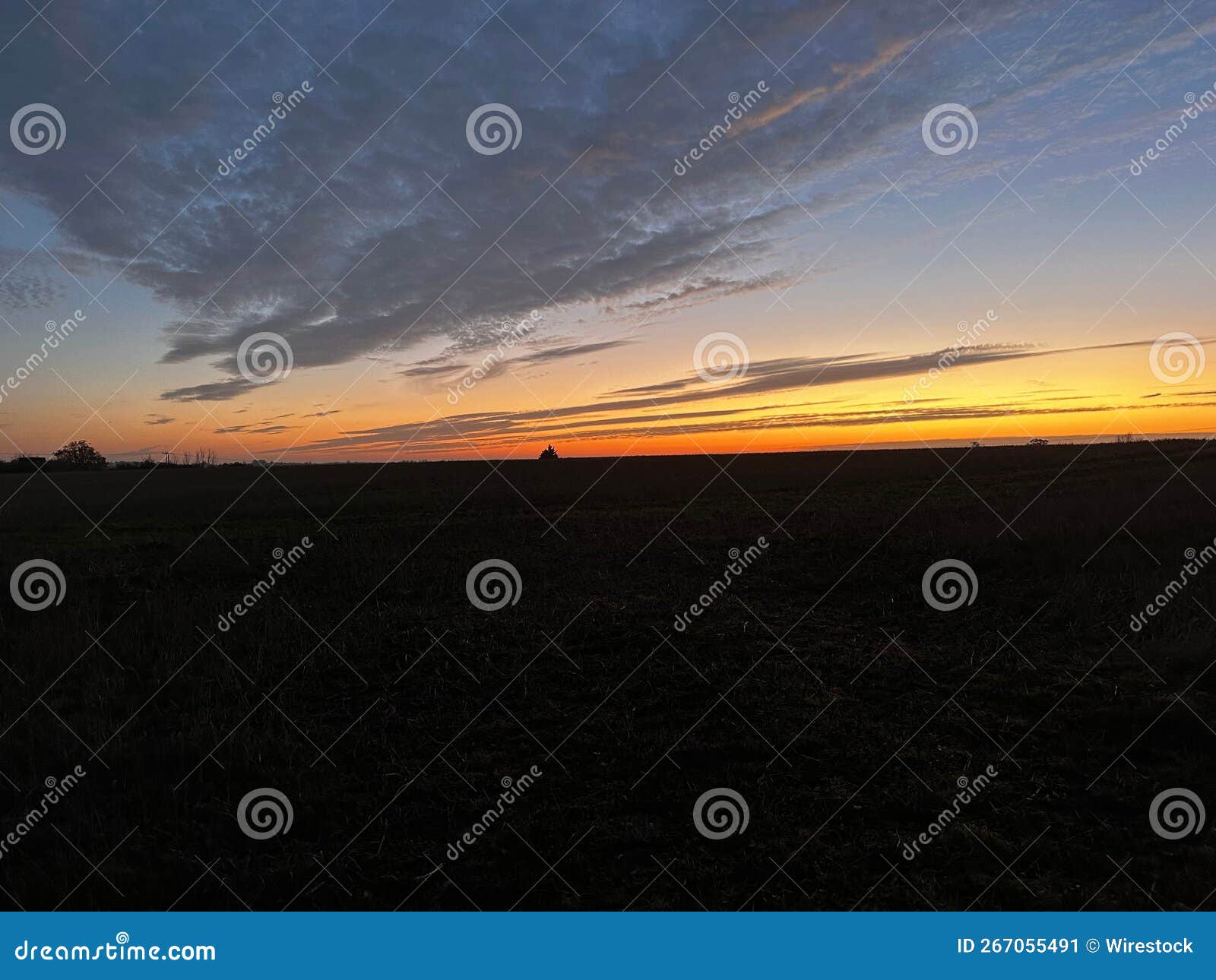 Silhouette of Field during Sunset Stock Image - Image of lush, heaven ...