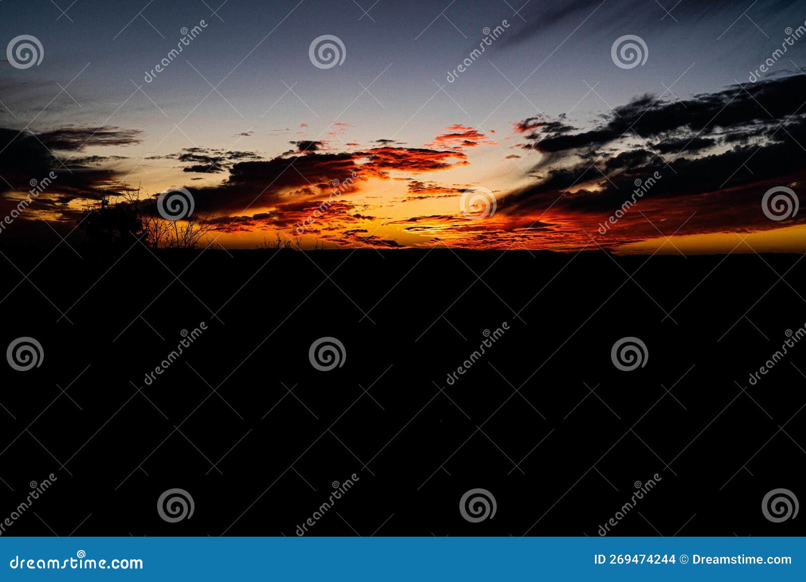 Silhouette of Field during Sunset Stock Photo - Image of field ...