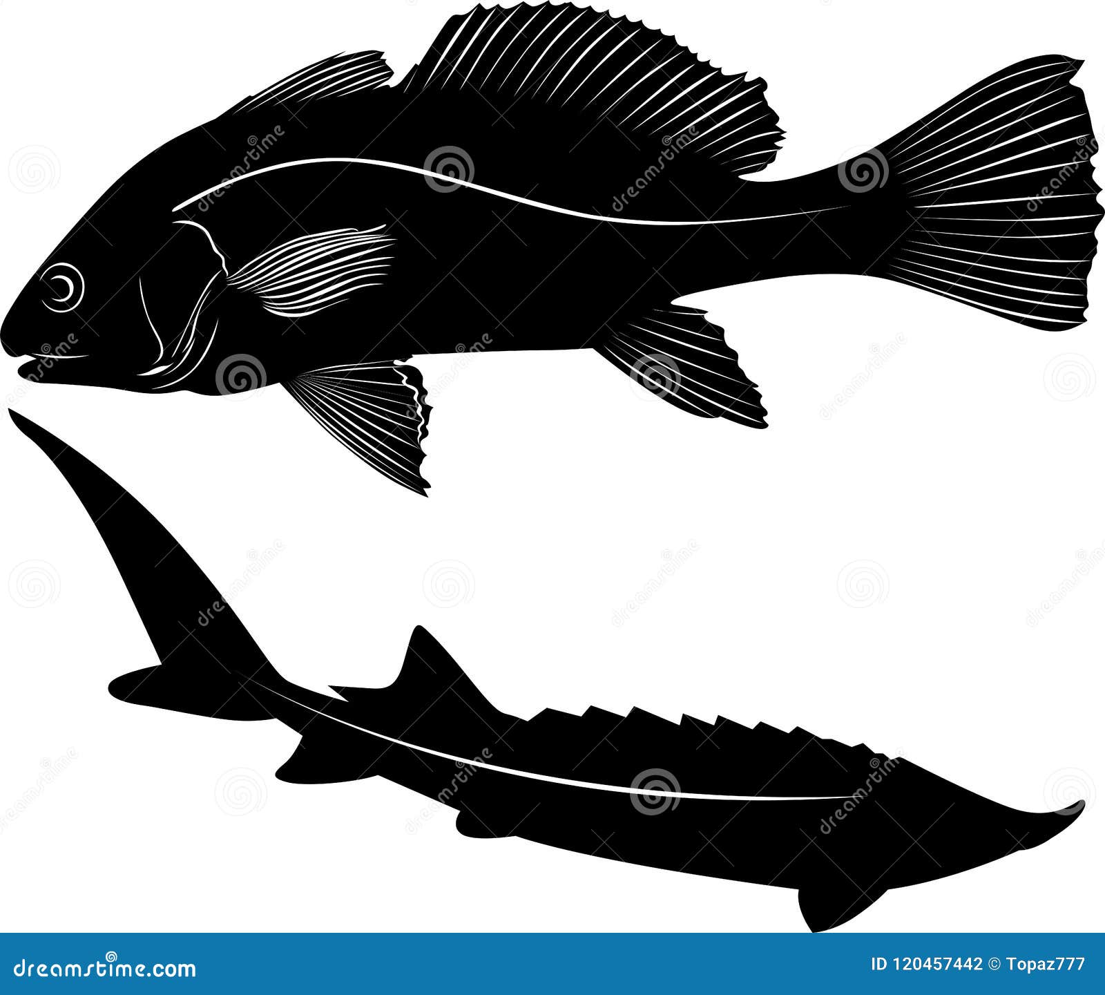 Silhouette of Fish Isolated on White Background Stock Vector ...