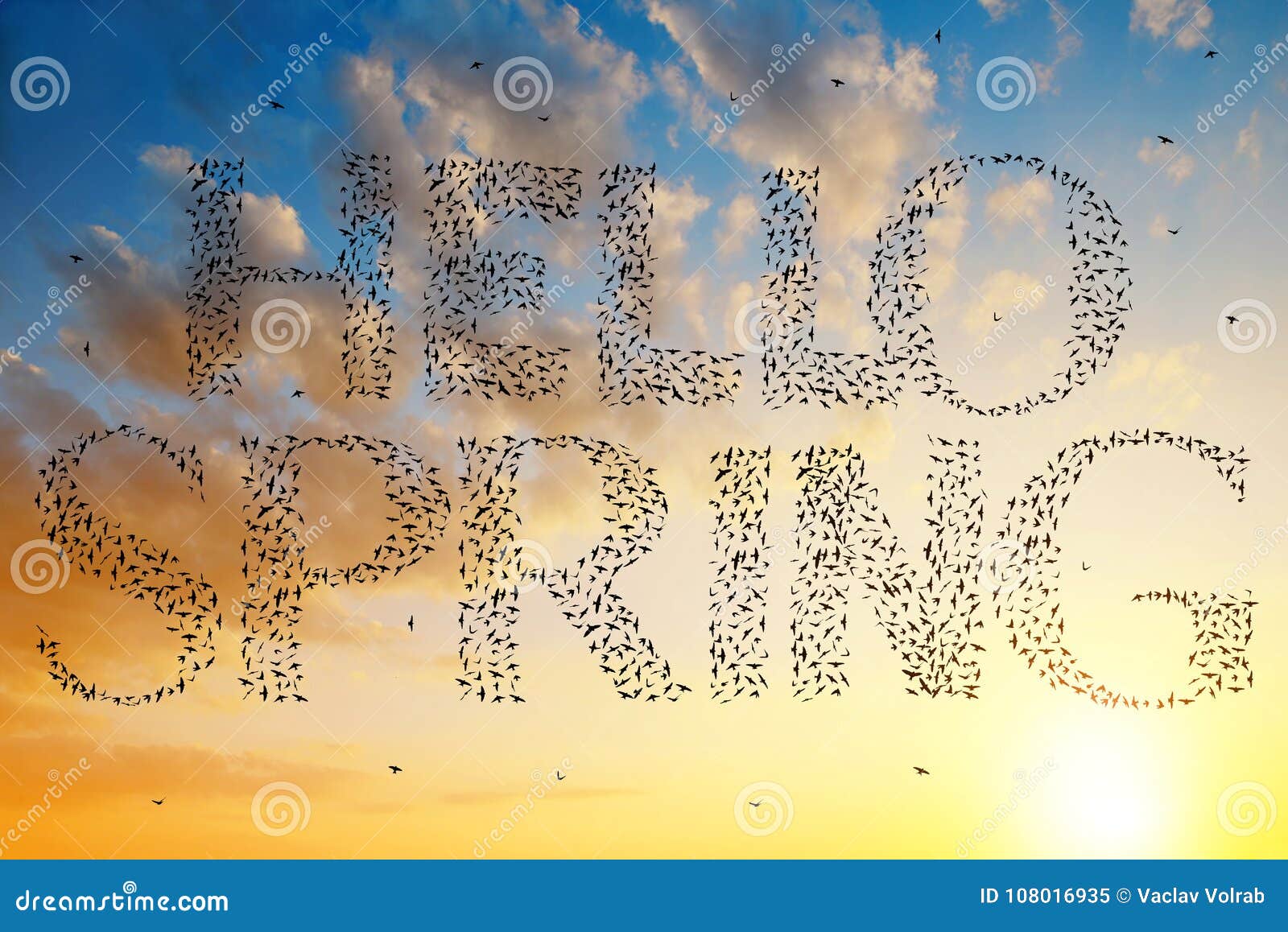 Silhouette Flock of Birds Flying in the Text HELLO SPRING Formation ...