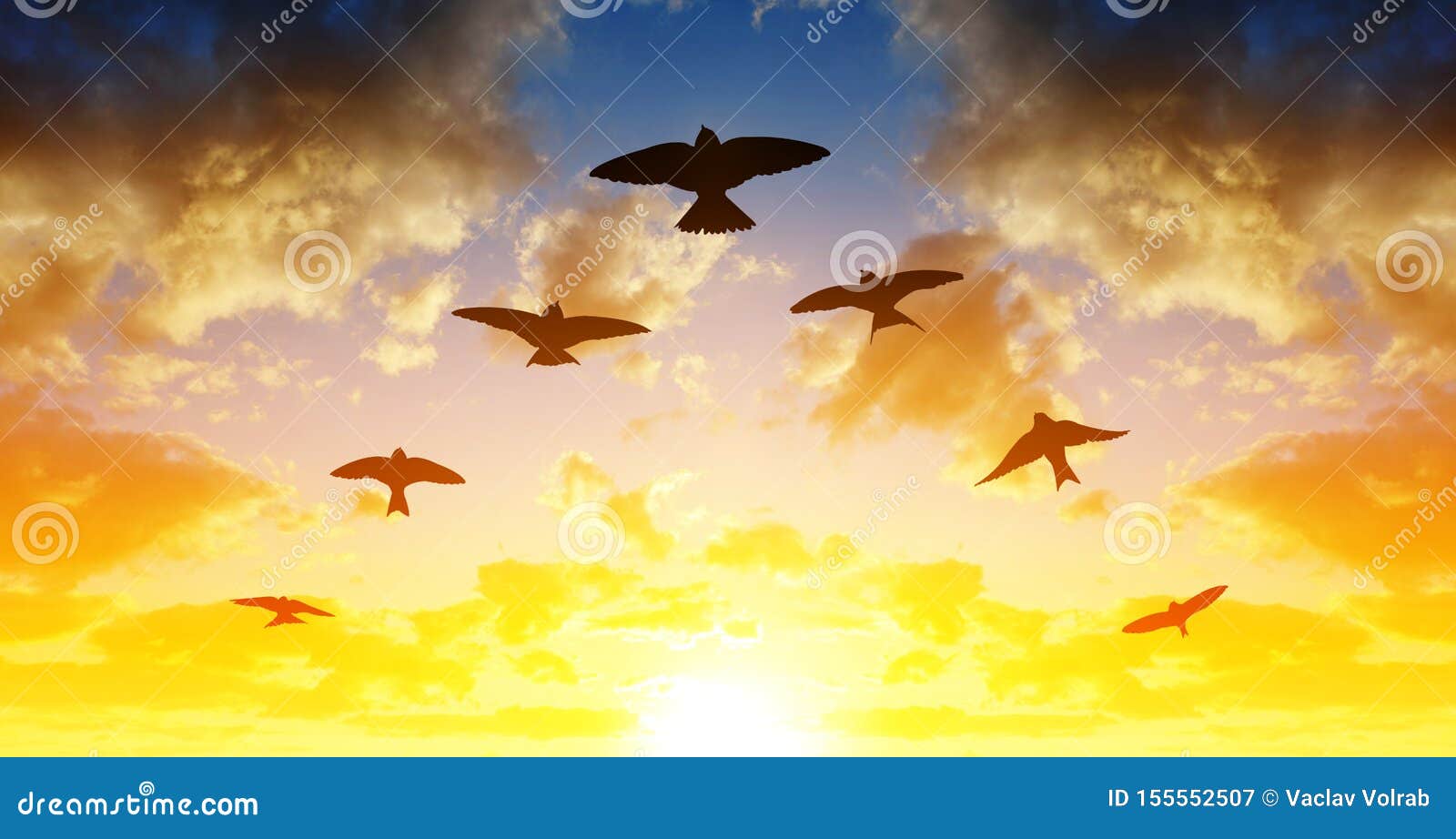 Flock of Birds Flying in V-formation at Sunset. Stock Image - Image of ...