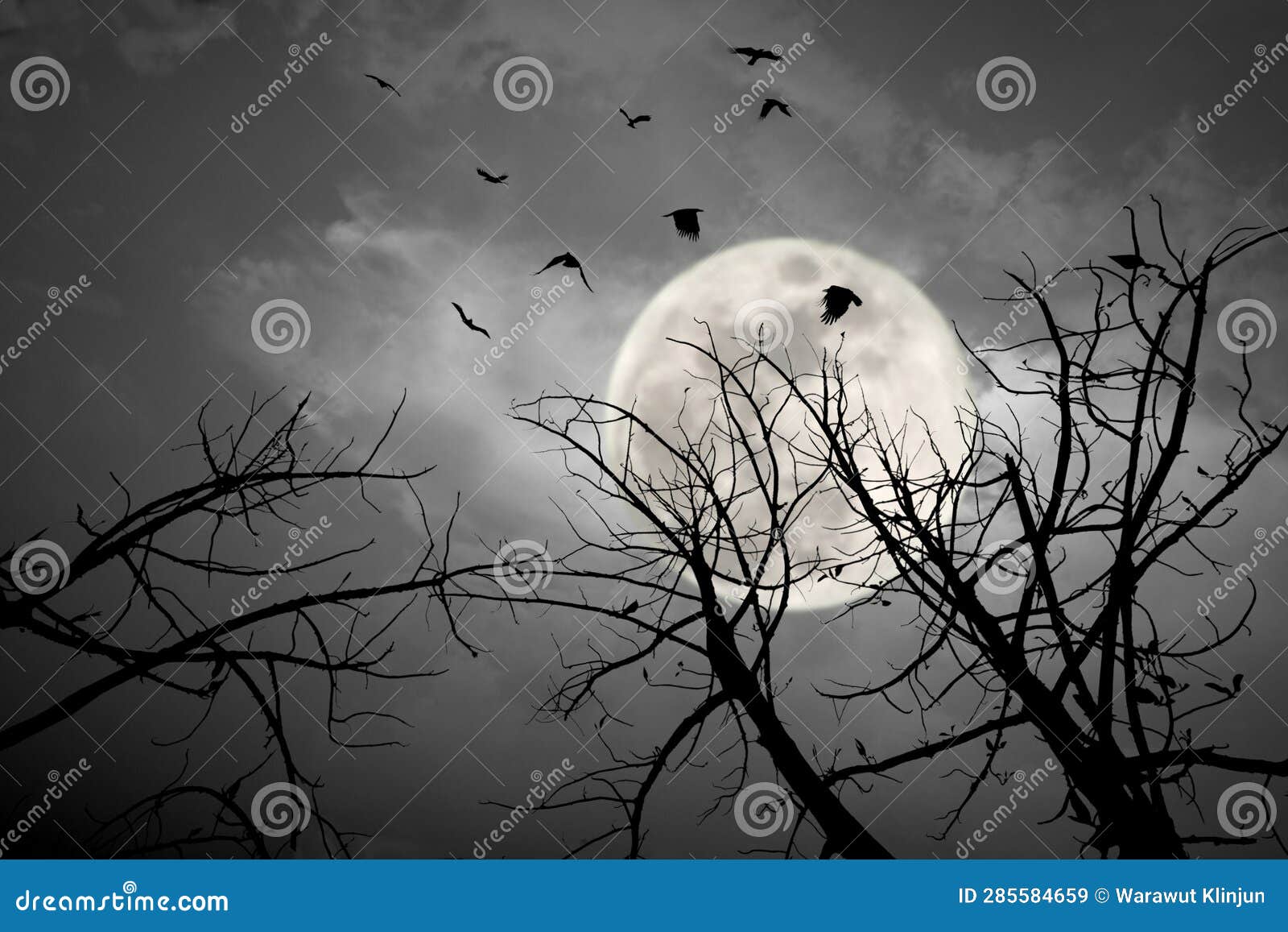 Crows In Trees, Darkness, Birds. Crows Nest, Big Black Bird Crowd ...