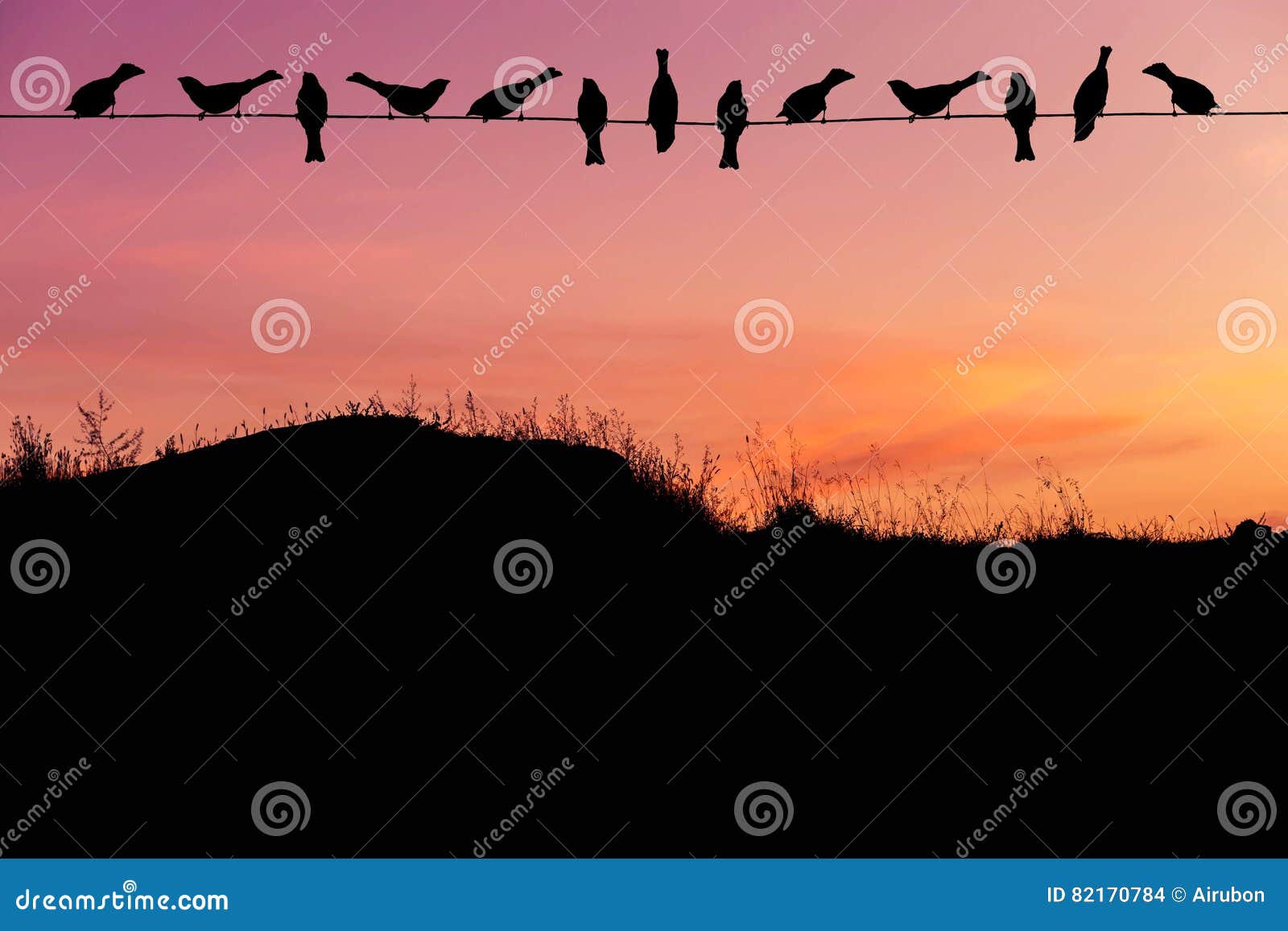 Silhouette Flock Sparrows Perching on Power Line in Sunset Stock Photo ...