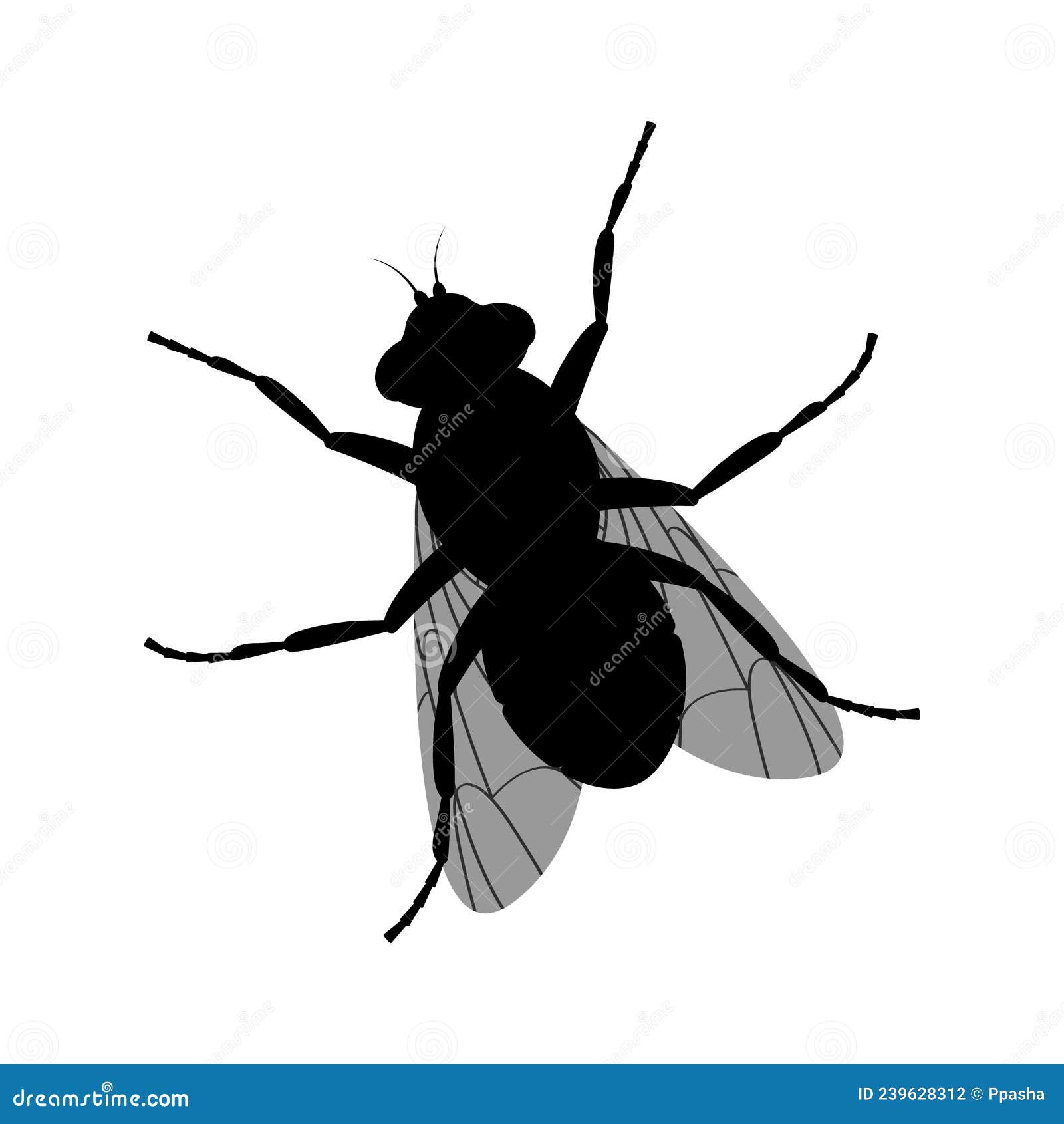 The Silhouette of a Fly. Fly Top View. a Flying Insect Stock Vector ...