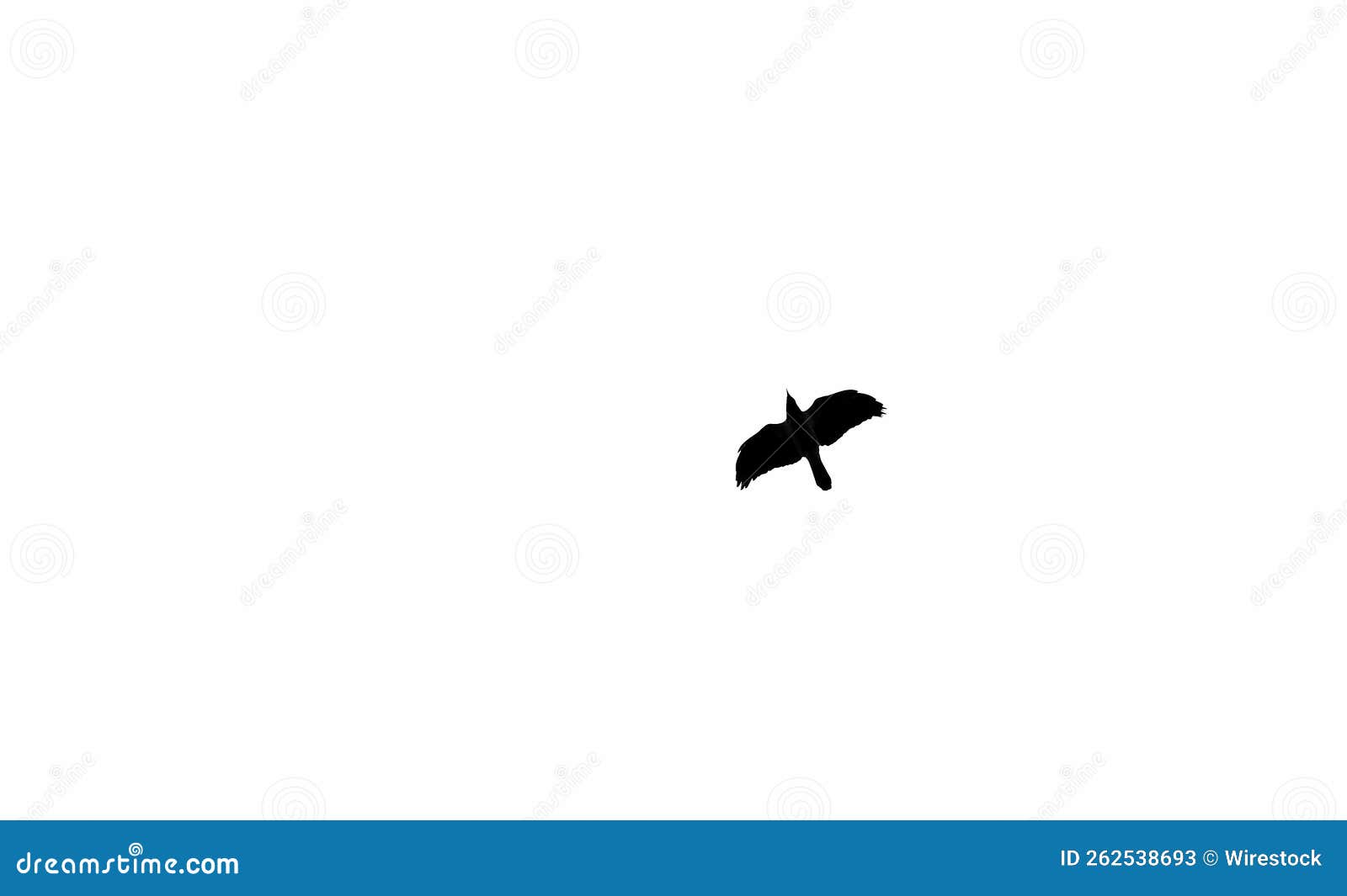 Silhouette of a Flying Crow. Stock Image - Image of aves, plane: 262538693