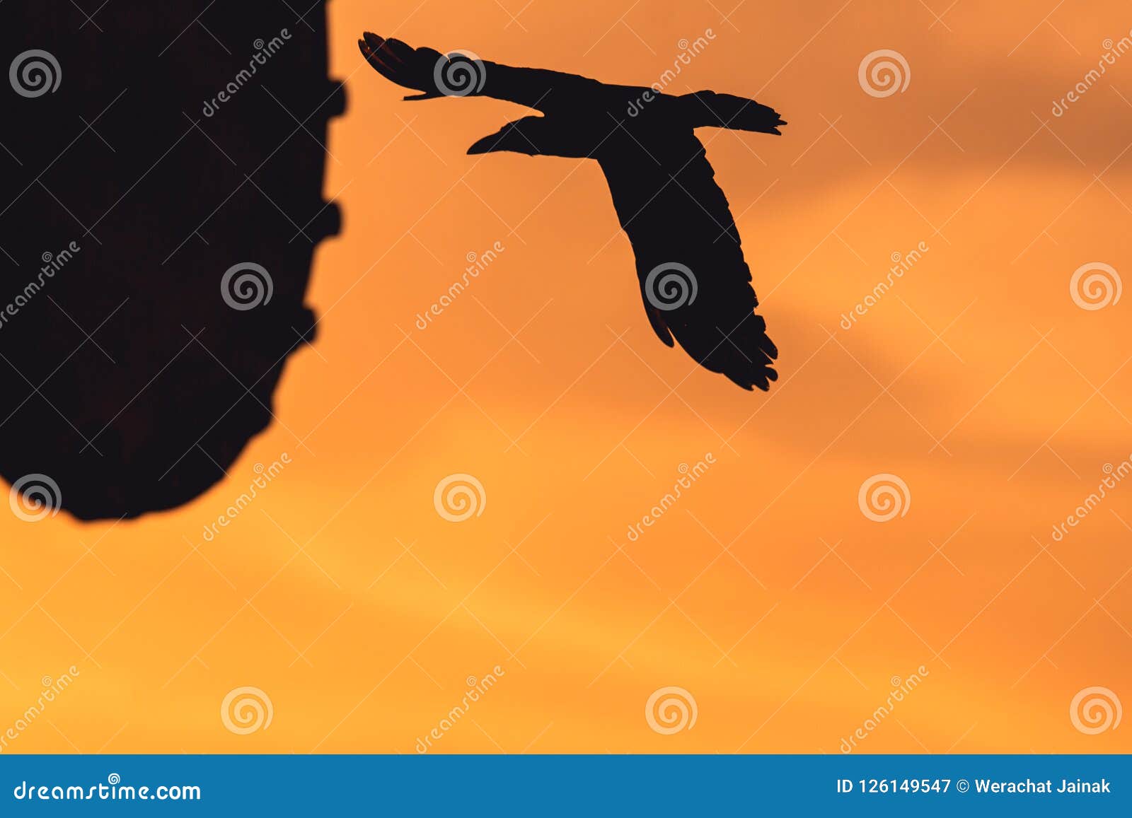 Flying Crow In The Sky. Royalty-Free Stock Image | CartoonDealer.com ...