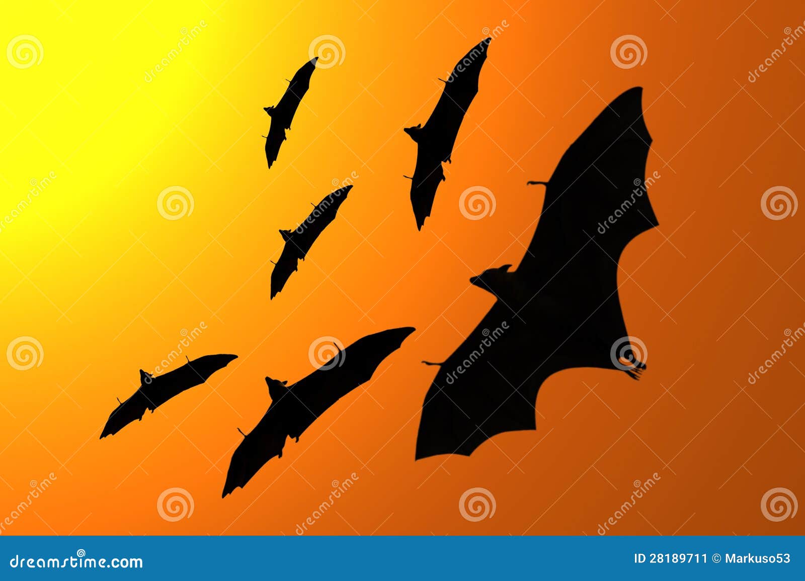 Silhouette of flying foxes stock image. Image of giganteus - 28189711