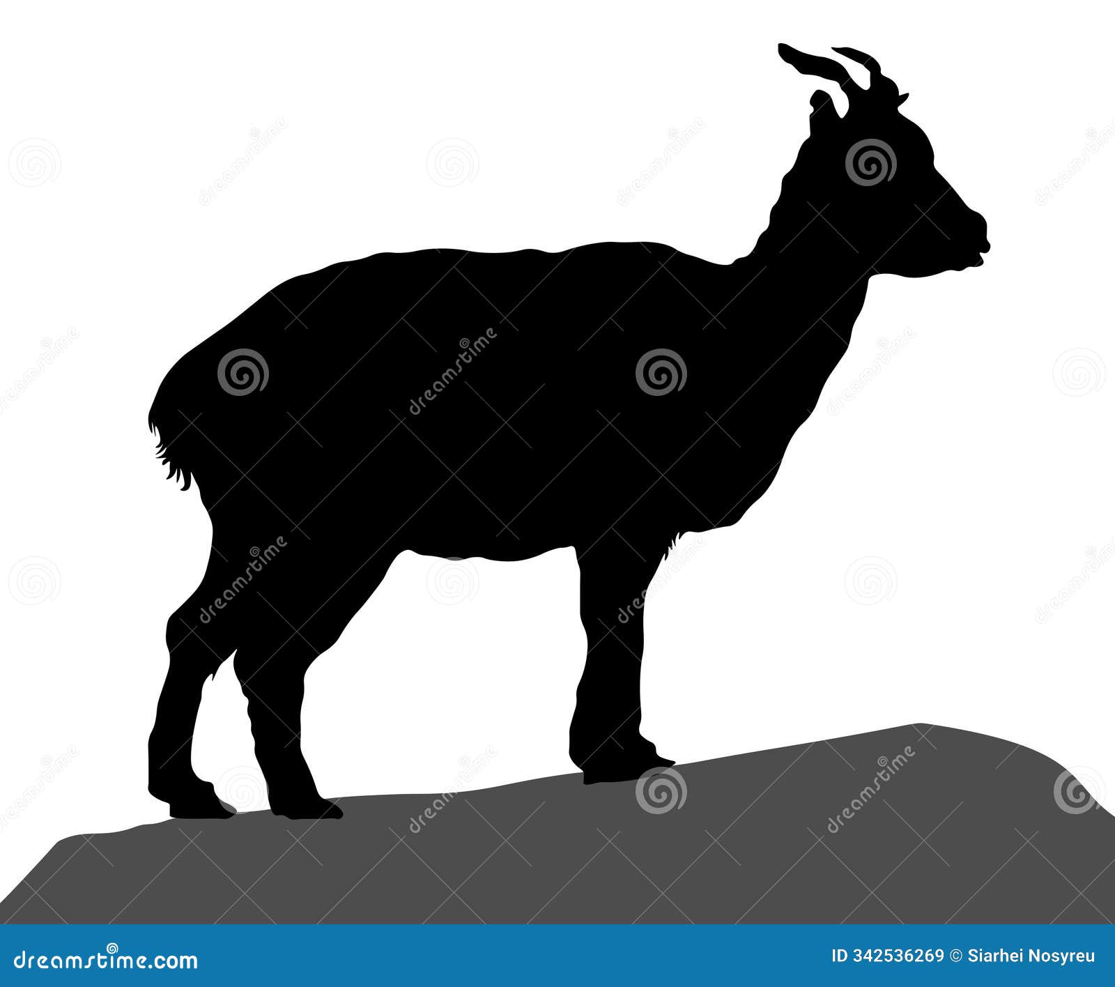 Silhouette of Goat on Hill, Markhor. Vector Illustration Stock Vector ...