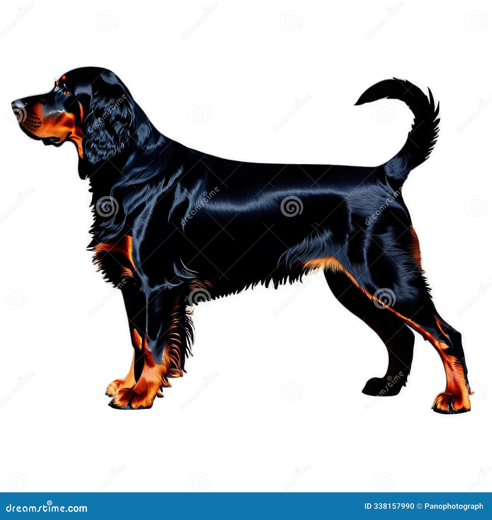 Silhouette of Gordon Setter Dog Isolated on Transparent Background ...