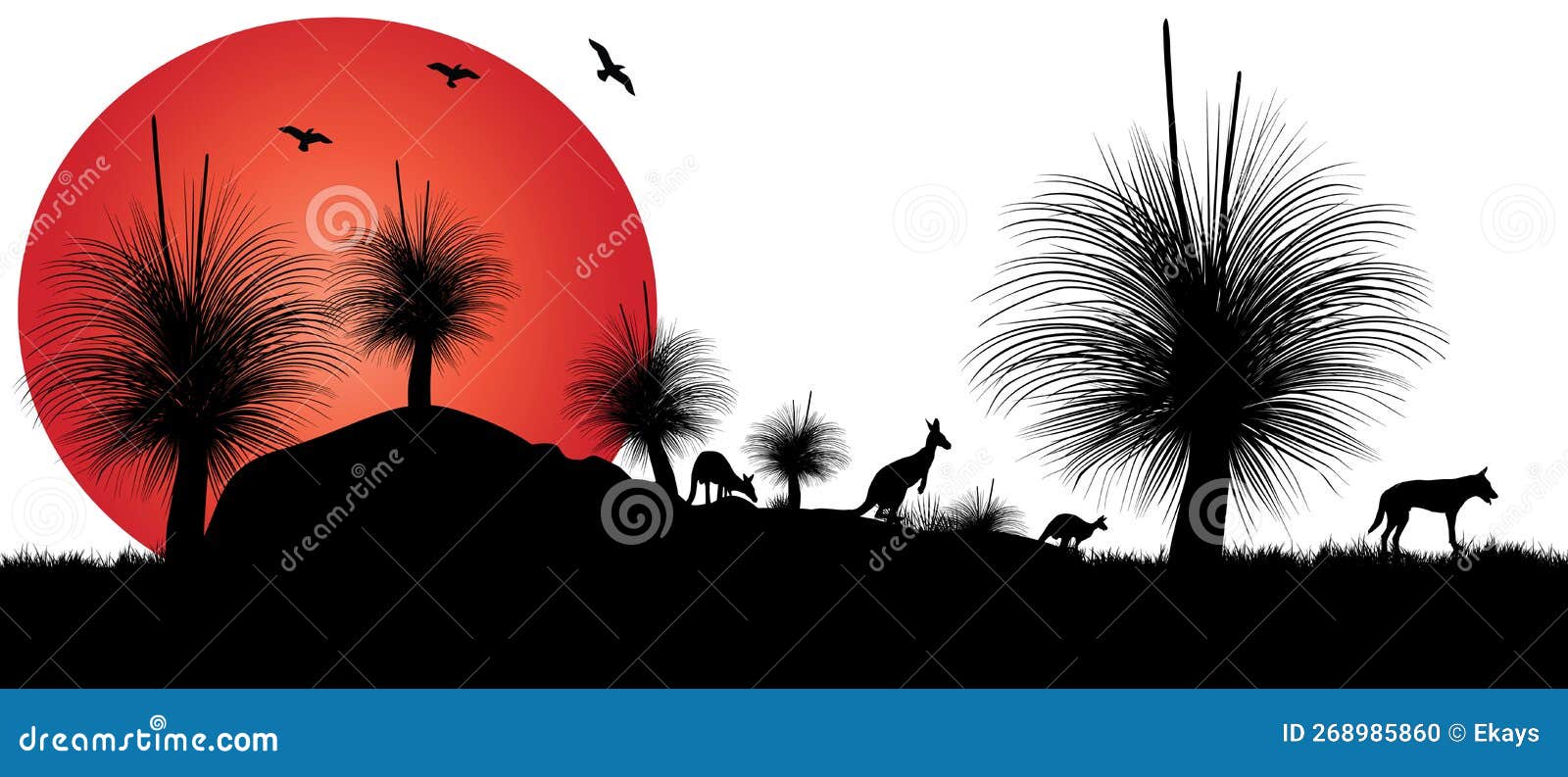 Silhouette of Grass Tree or Black Boy Tree at Sunset with Orange Moon ...
