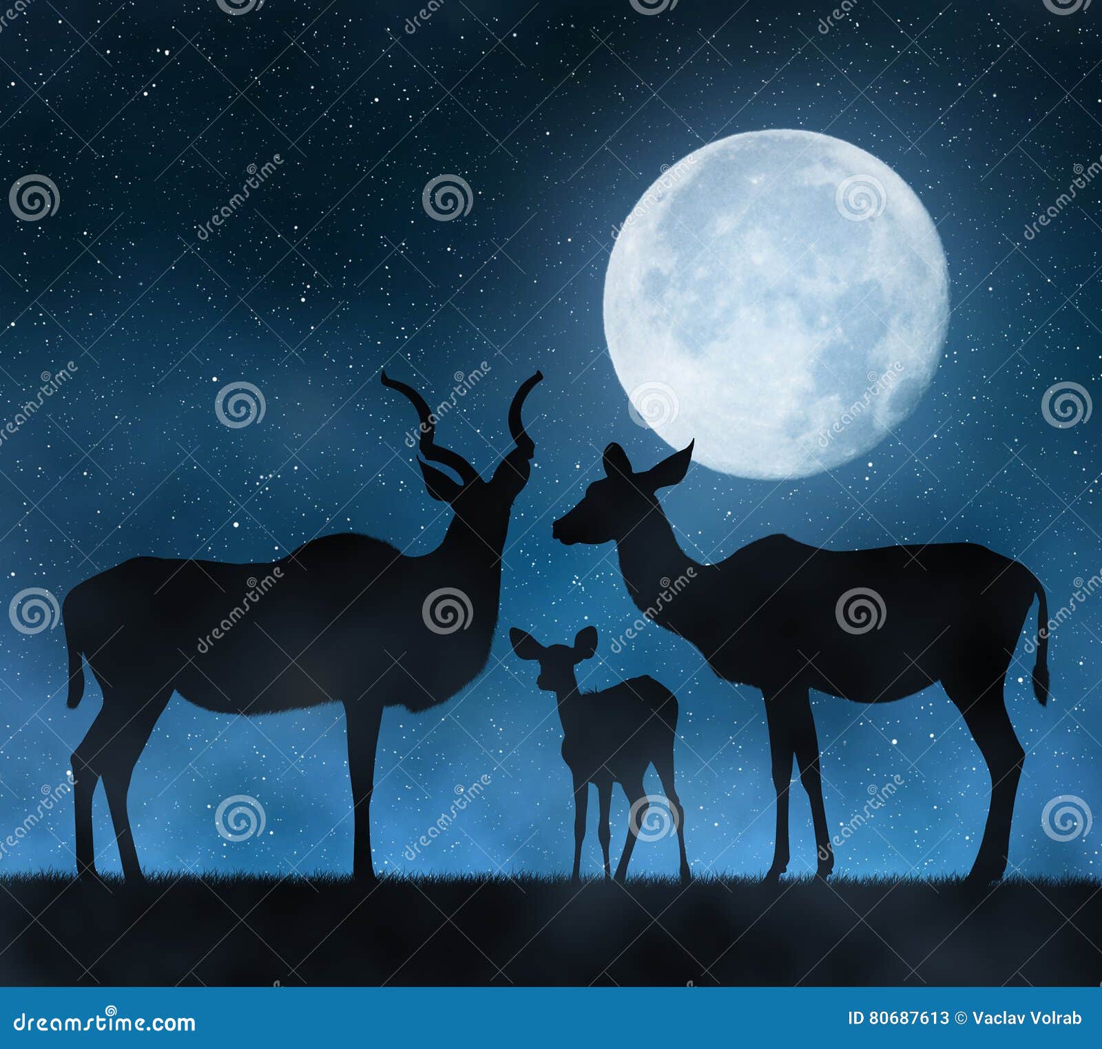 Silhouette Greater Kudu stock image. Image of strepsiceros - 80687613