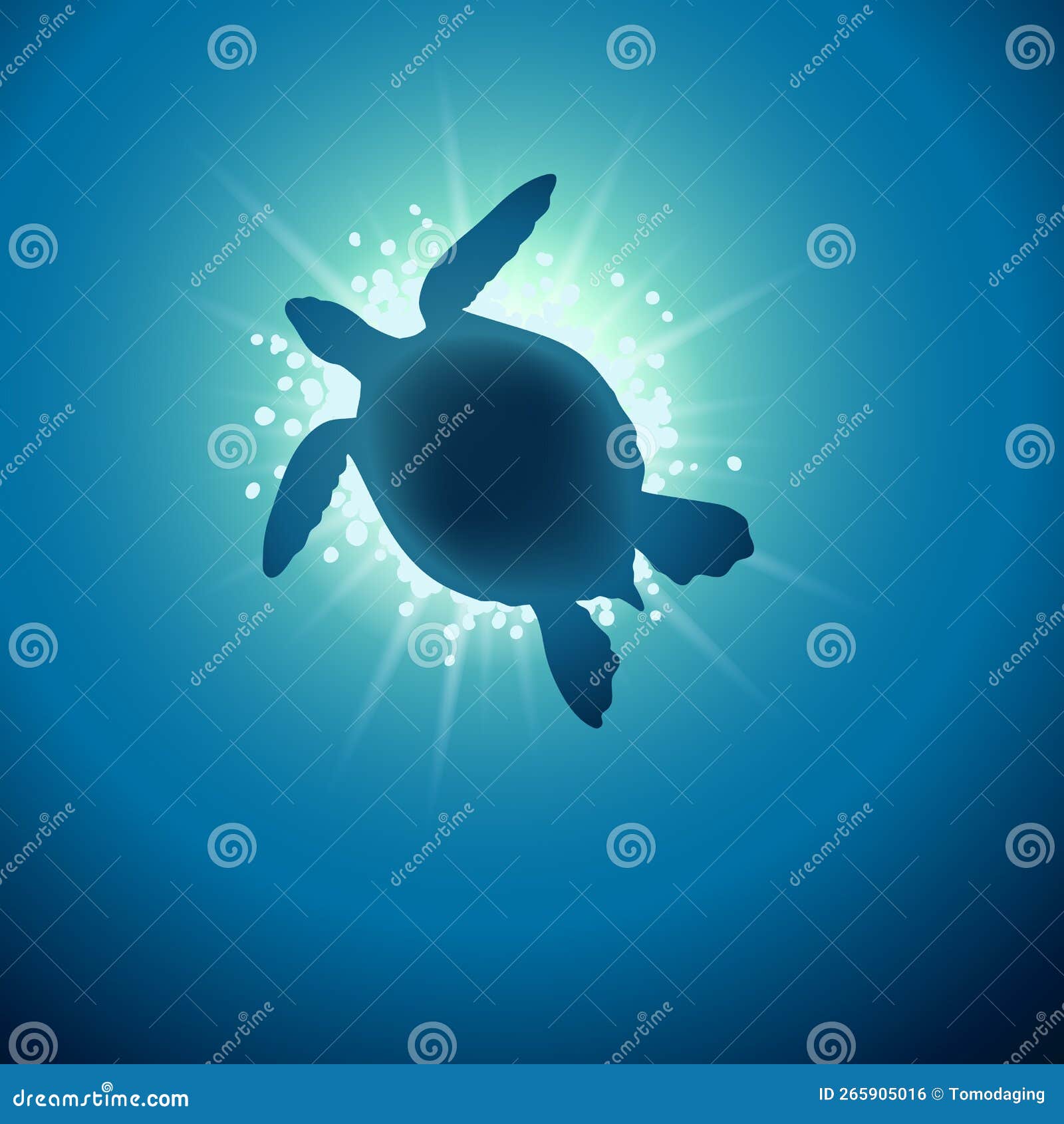 Silhouette Green Sea Turtle from Underneath View Stock Vector ...