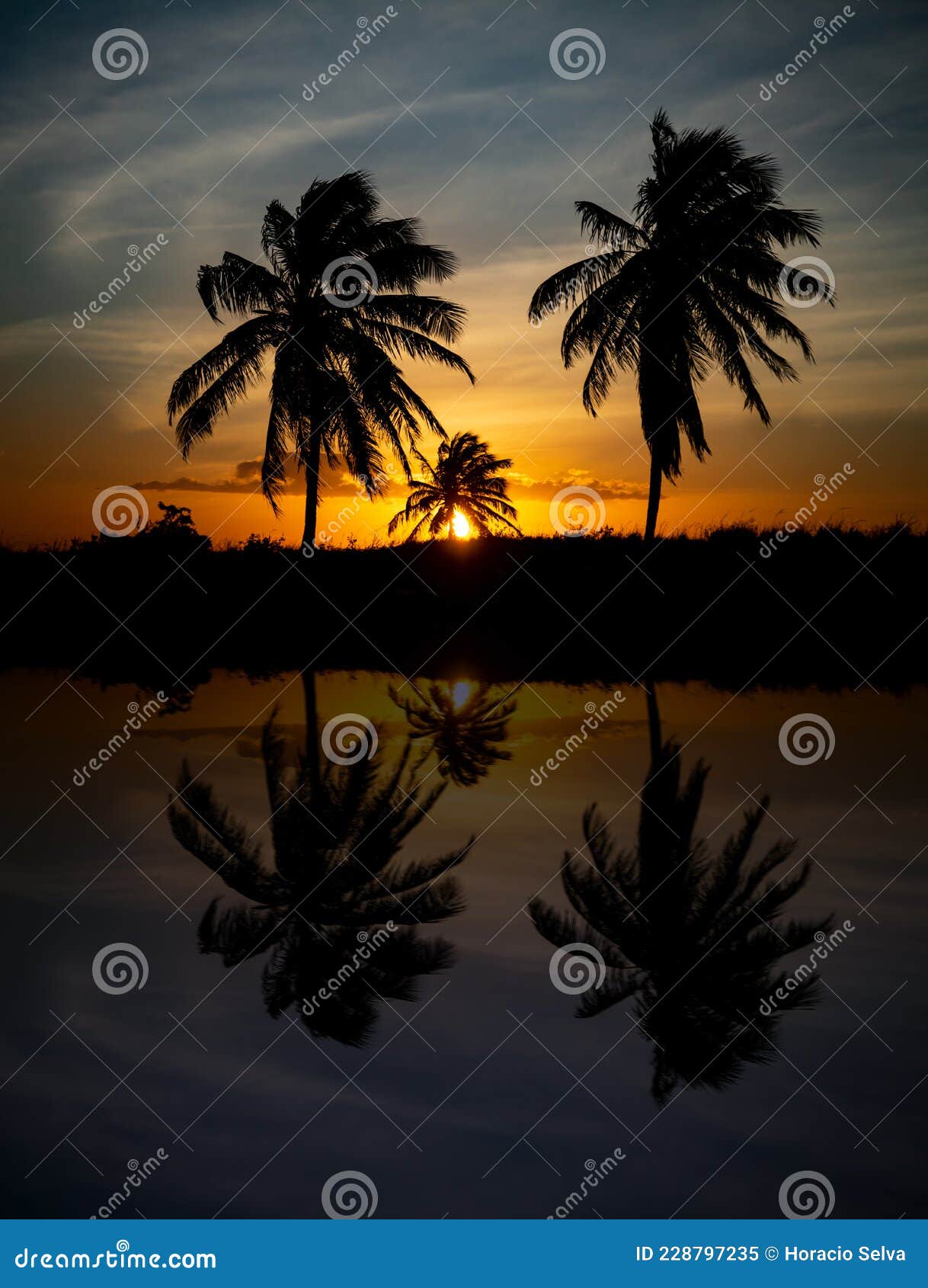 Reflection Of Silhouettes Palm Tree Royalty-Free Stock Photo ...