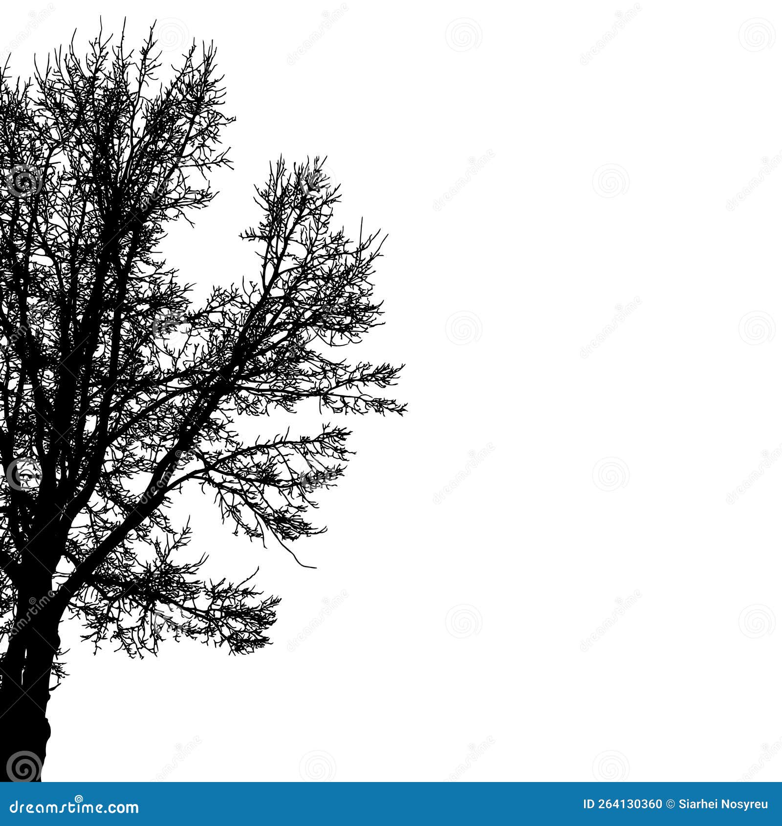 Silhouette of Half Tree with Bare Branches. Vector Illustration Stock ...