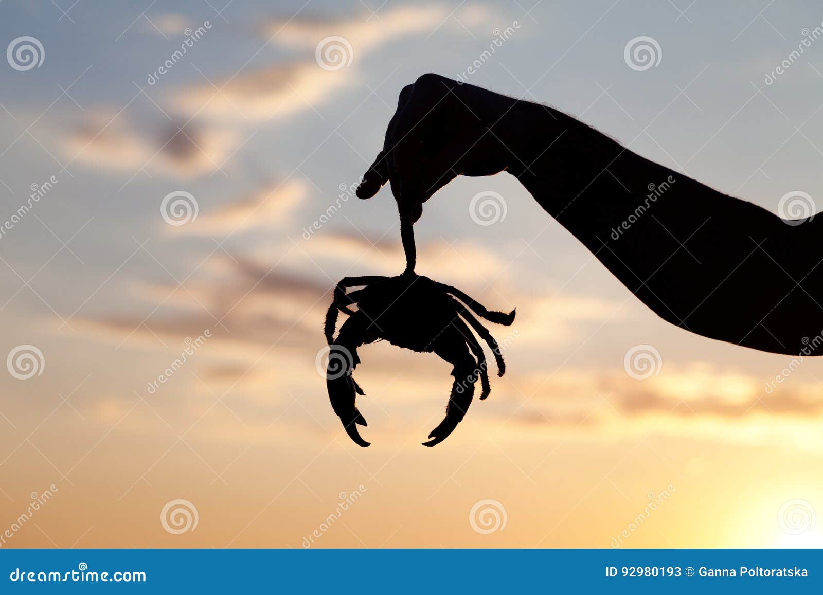 Silhouette of Hand with Caught Crab and Sunset Sky Stock Image - Image ...