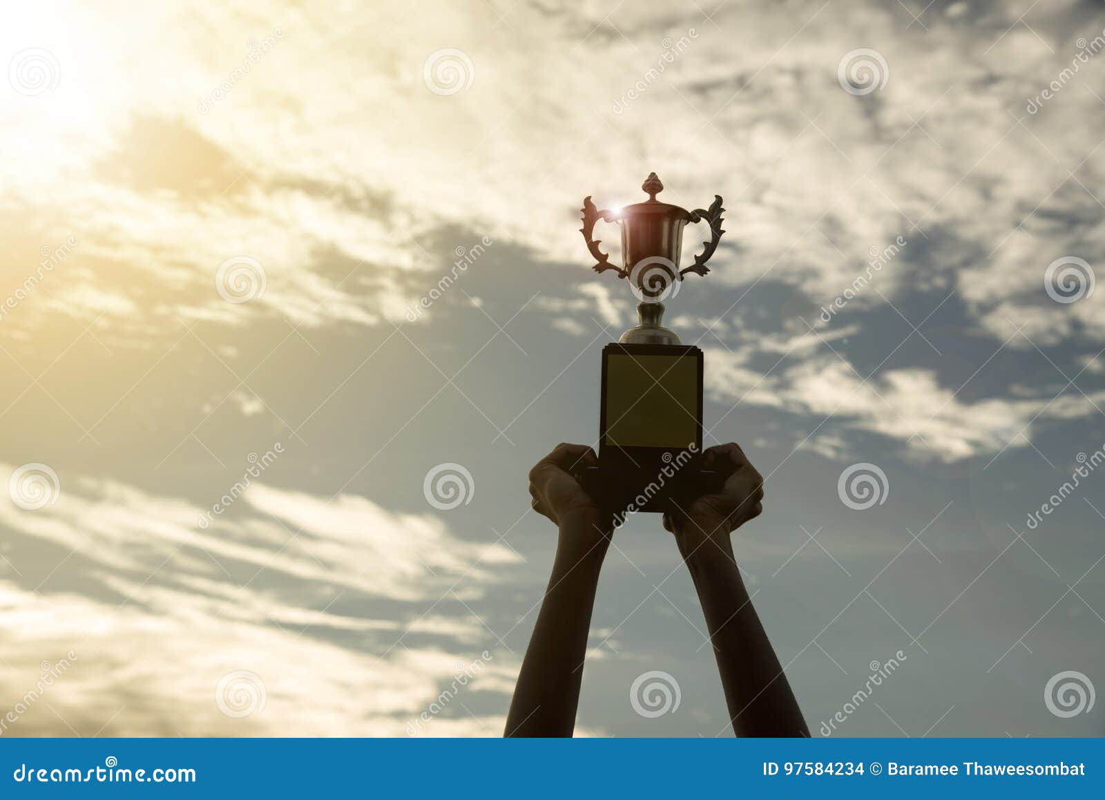 Silhouette Hand Holding Winner Trophy Cup in a Championship Stock Photo ...