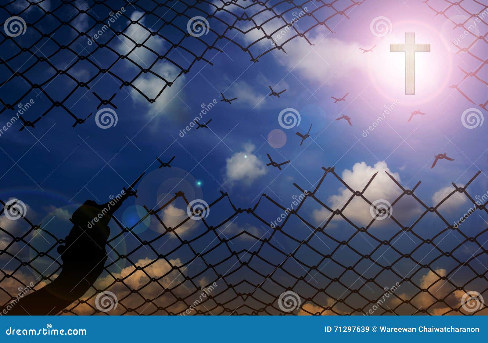 Silhouette Hand with Scissors Cutting Net with Sky Background, F Stock ...