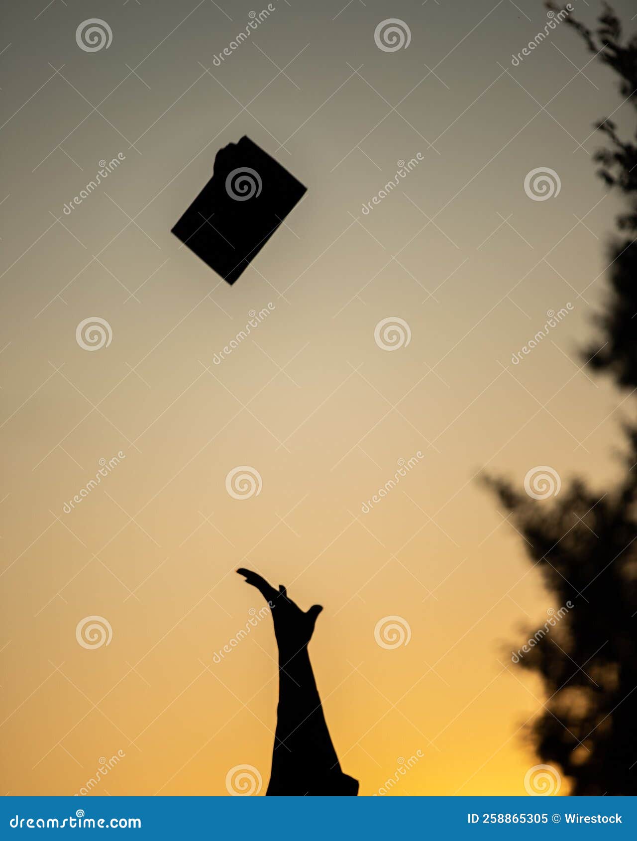 Silhouette of a Hand Throwing a Graduation Cap in the Air Stock Image ...