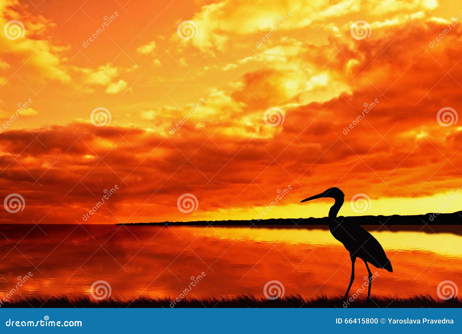 Silhouette of a Heron on Sunset Background Stock Photo - Image of ...