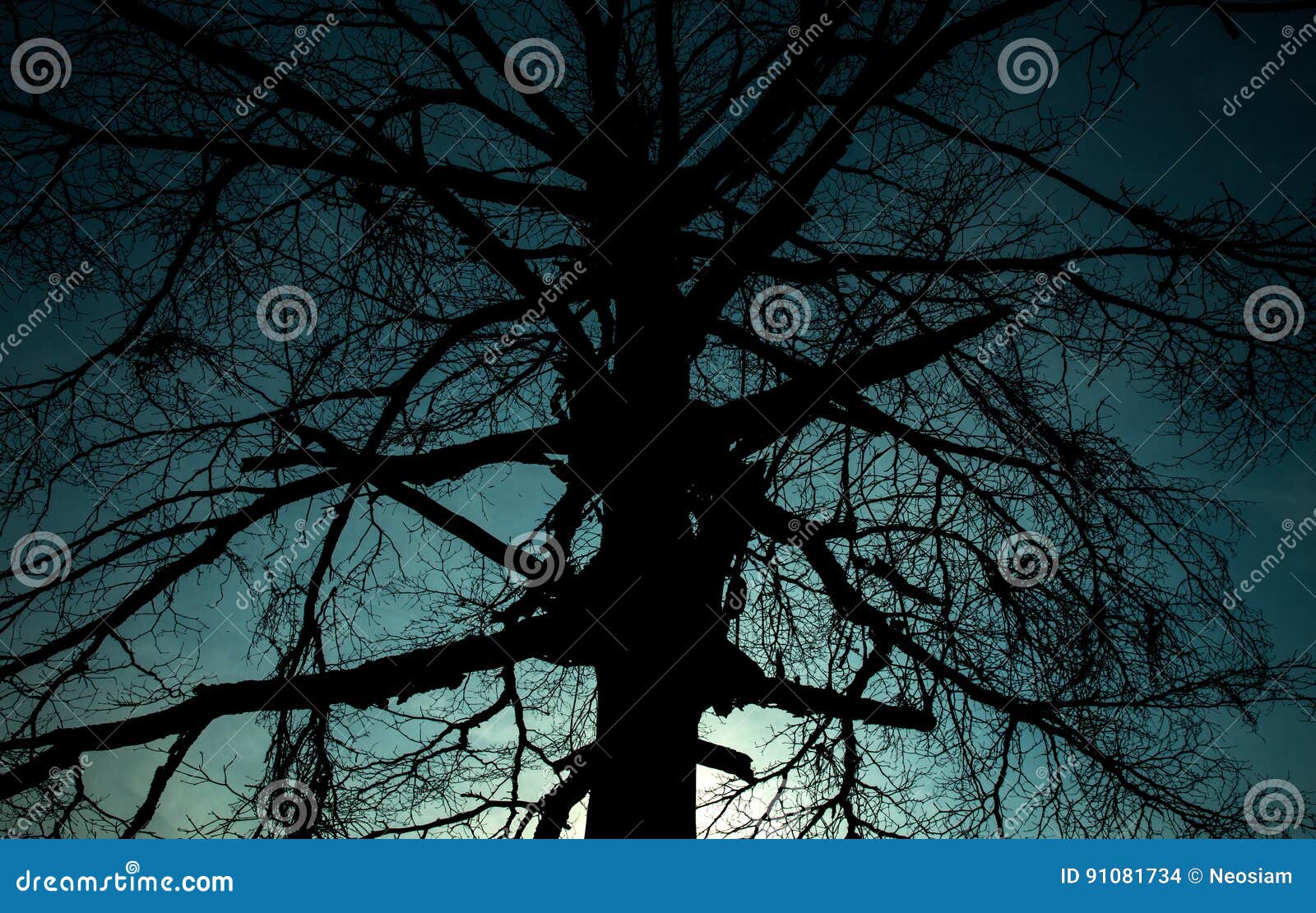 Silhouette horrible tree stock photo. Image of isolated - 91081734