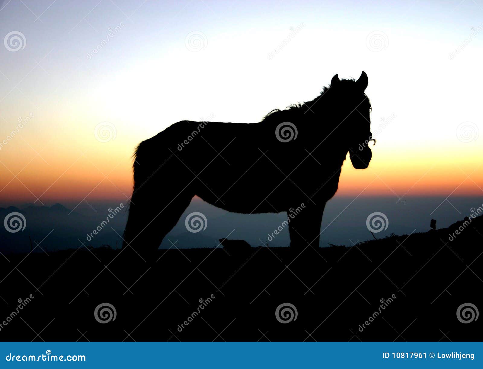 Silhouette of Horse Against Sunset Stock Image - Image of landscape ...