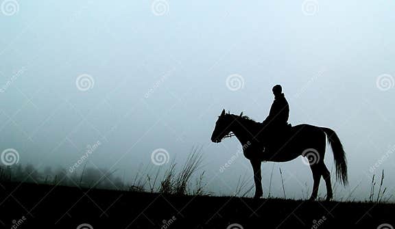 Silhouette of Horse with Man Stock Image - Image of haze, grass: 3049263
