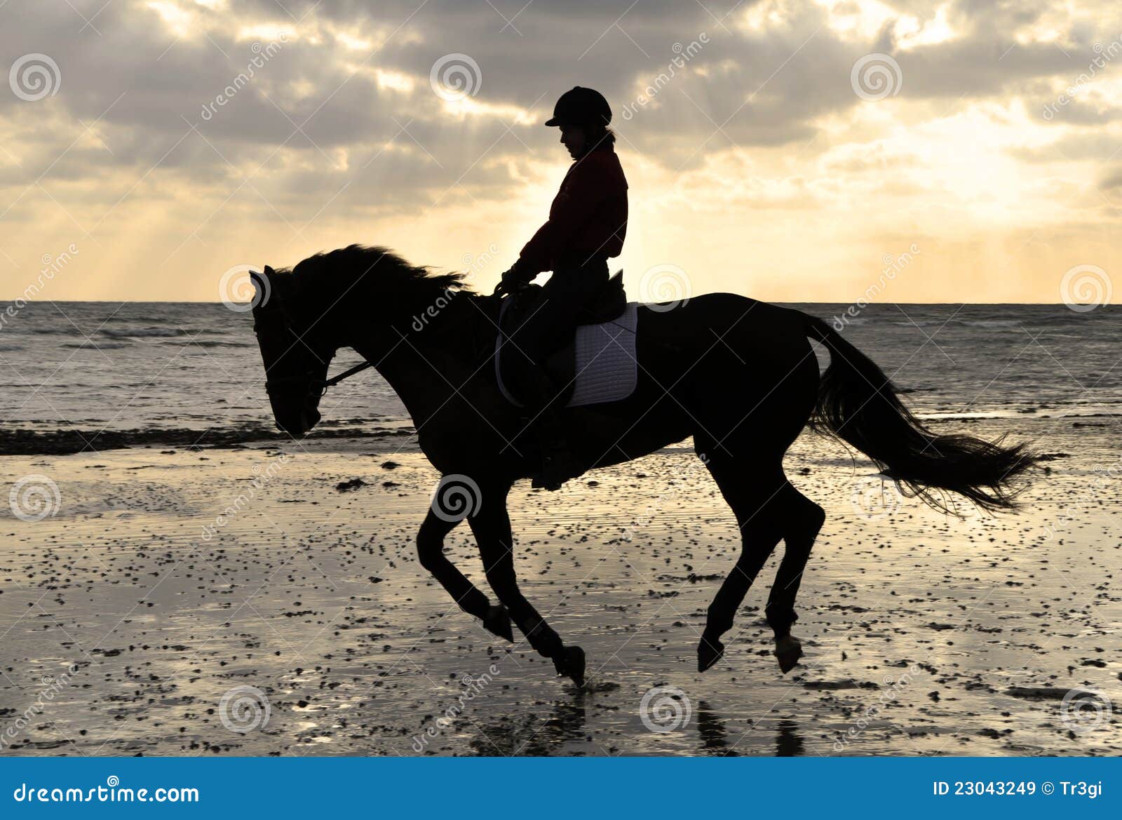 Silhouette of a Horse Rider Cantering on the Beach Stock Image - Image ...