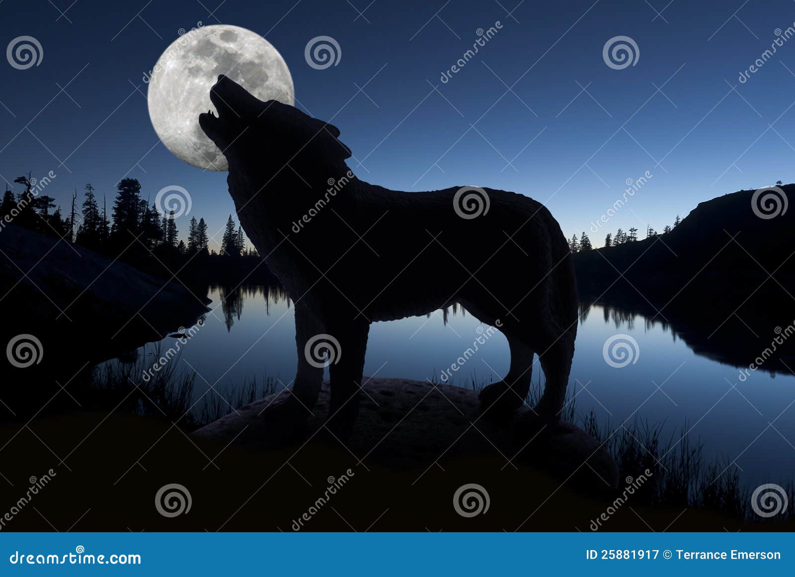 Silhouette Of A Wolf Stock Photography | CartoonDealer.com #55155428