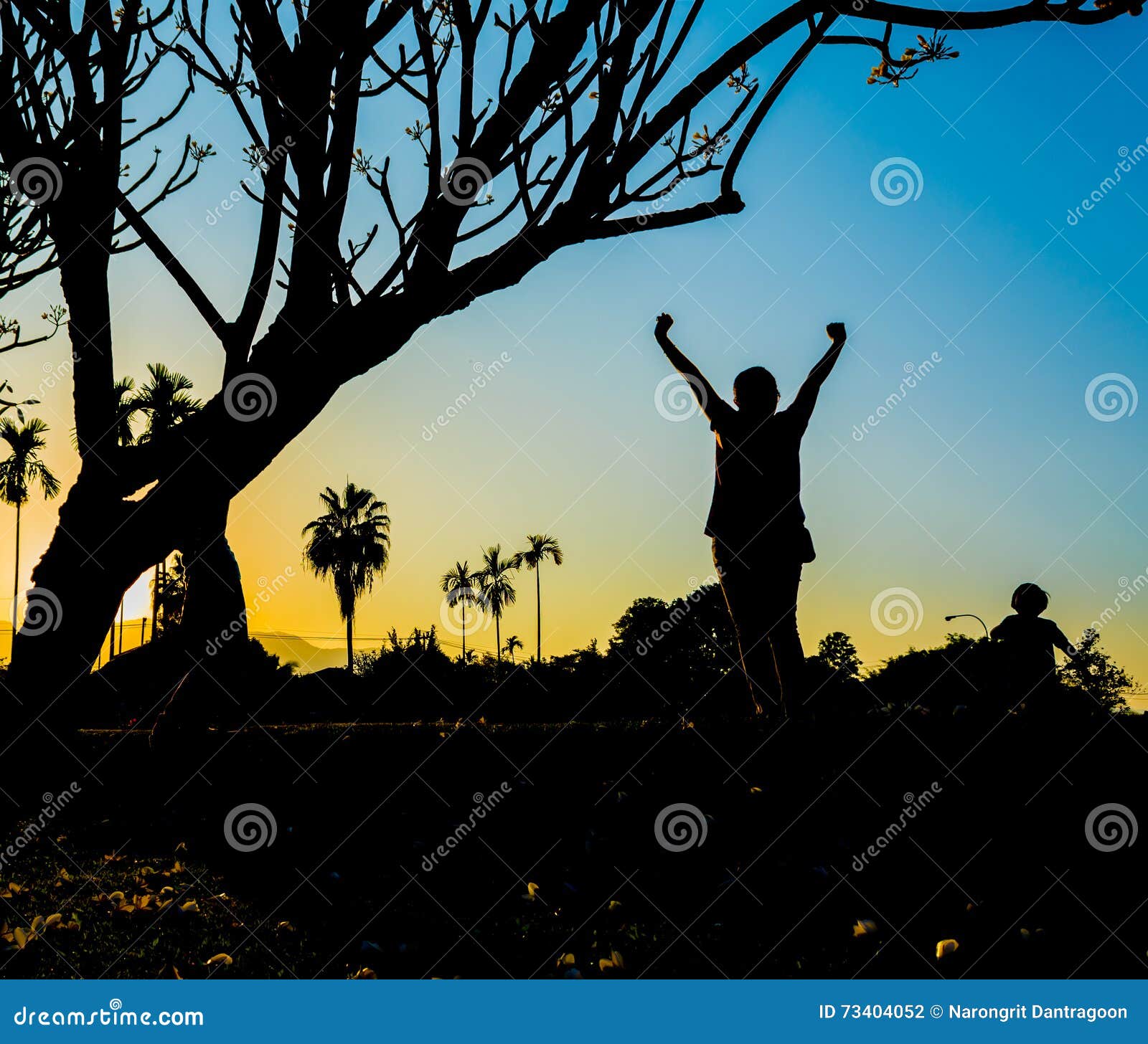 Silhouette Image of Happy Woman in Nature. Stock Photo - Image of ...