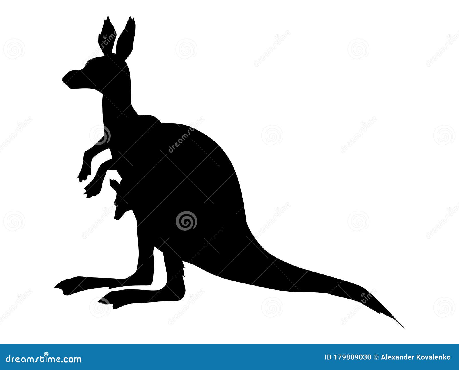 Kangaroo Life Cycle Infographic Diagram Vector Illustration ...