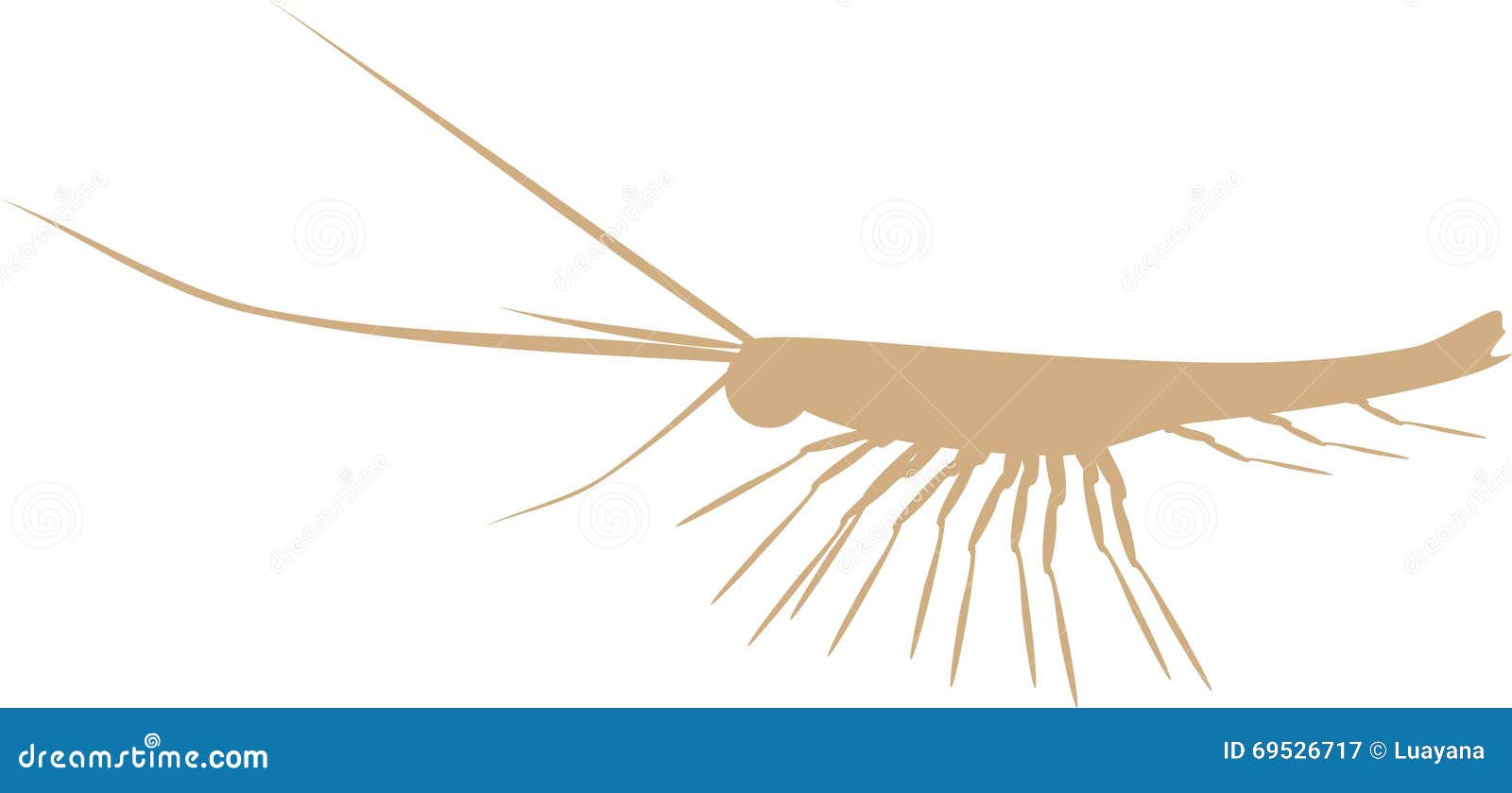 Krill Cartoons, Illustrations & Vector Stock Images - 456 Pictures to ...