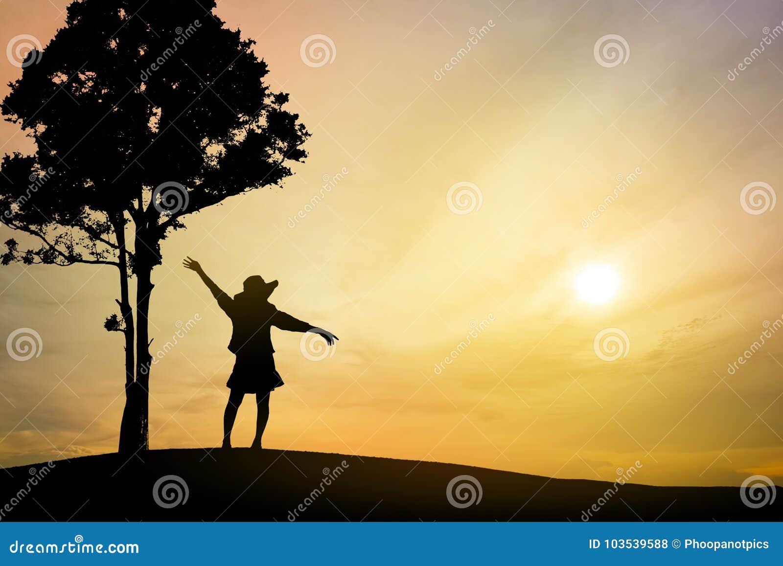 Silhouette Lady With Tree Stock Photo | CartoonDealer.com #103539588