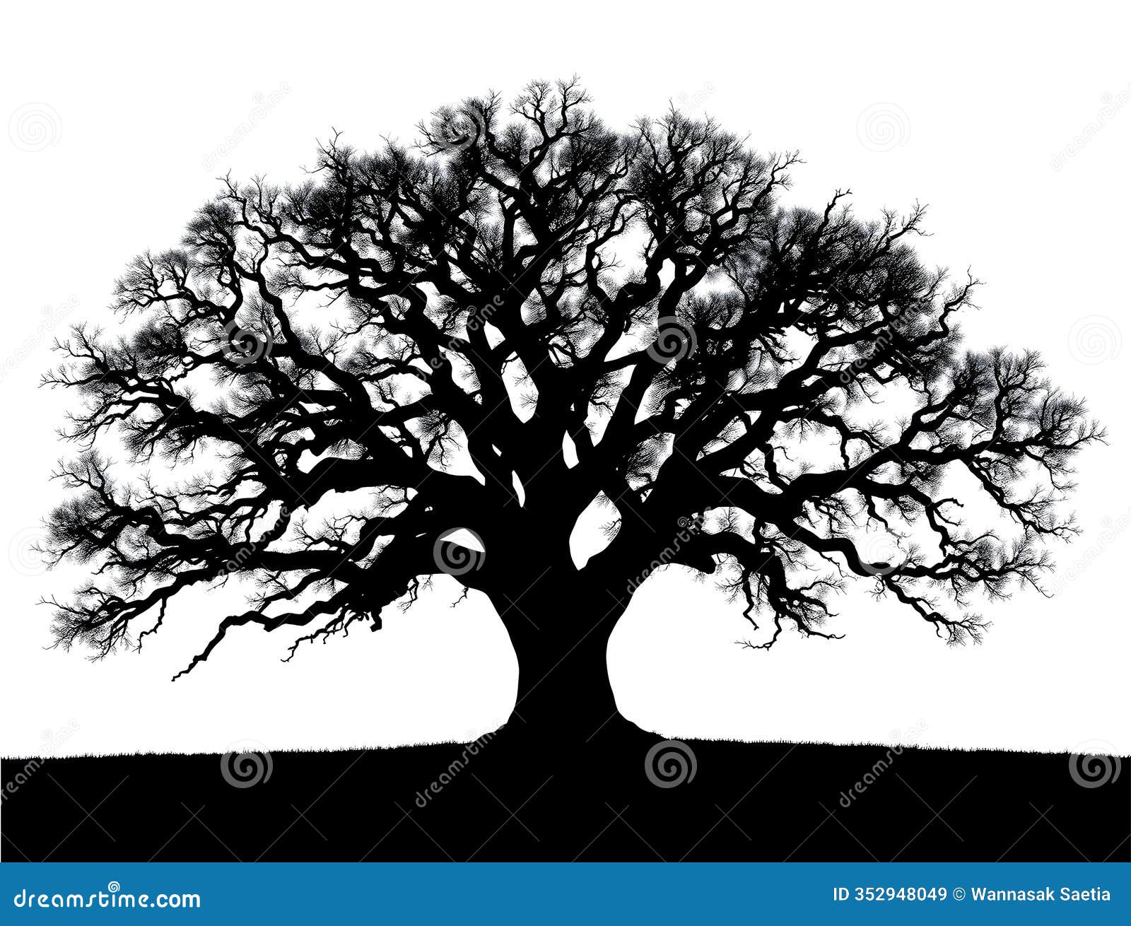 Silhouette of a Large Oak Tree Isolated on Transparent Background Stock ...